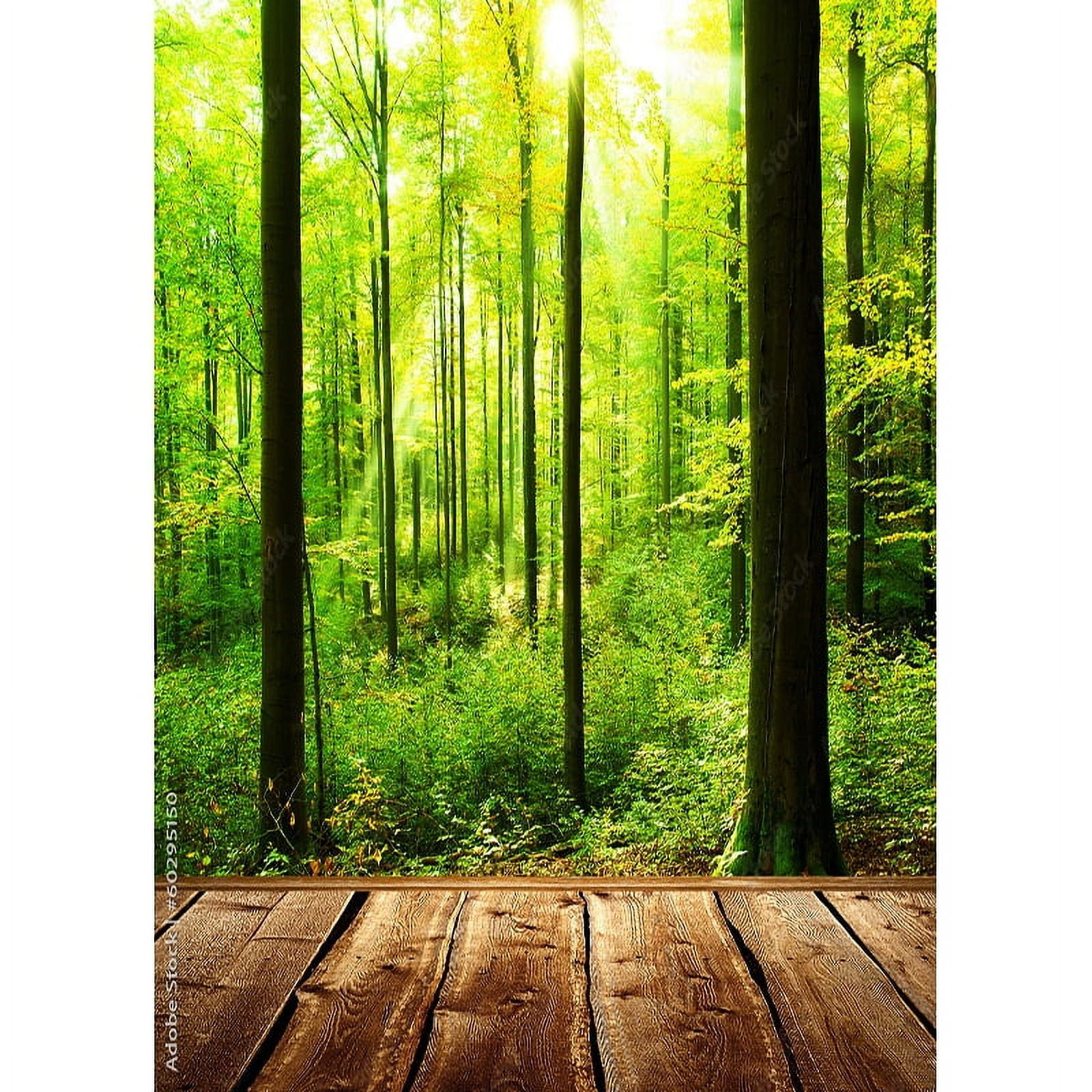 Art Cloth Natural Scenery Photography Background Forest Landscape Photo ...