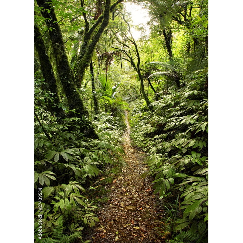 Art Cloth Natural Scenery Photography Background Forest Landscape Photo ...