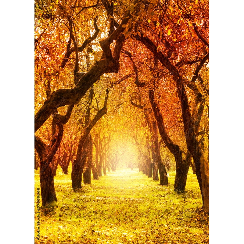 Art Cloth Natural Scenery Photography Background Forest Landscape Photo ...