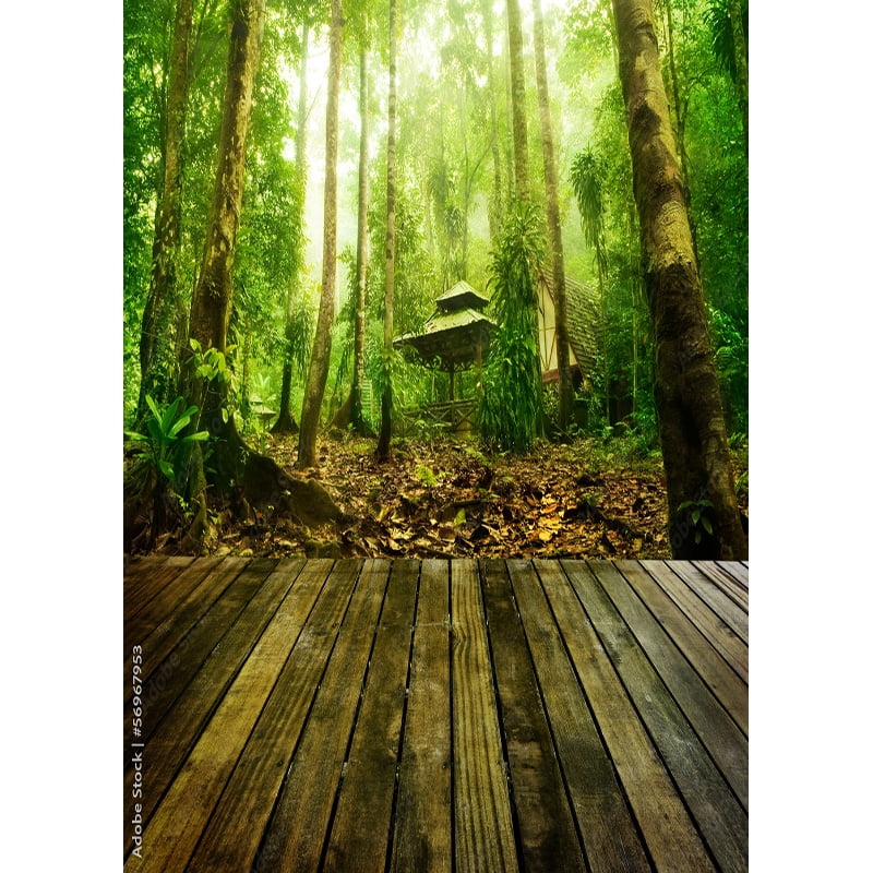 Art Cloth Natural Scenery Photography Background Forest Landscape Photo ...