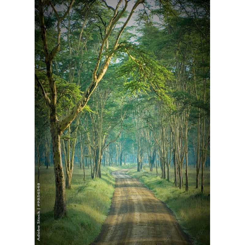Art Cloth Natural Scenery Photography Background Forest Landscape Photo ...