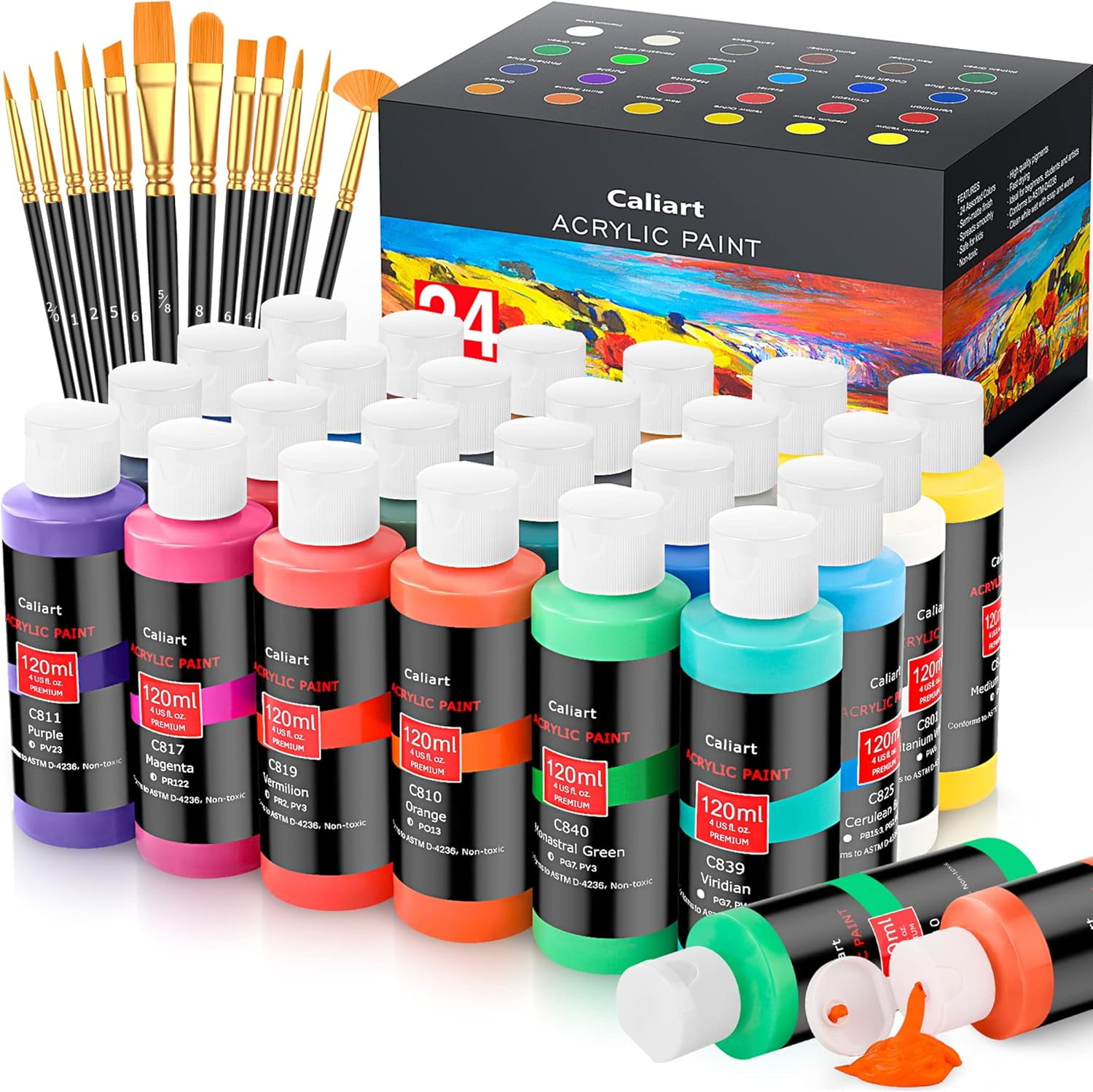 Art Craft Paints for Artists Kids Students Beginners & Painters ...