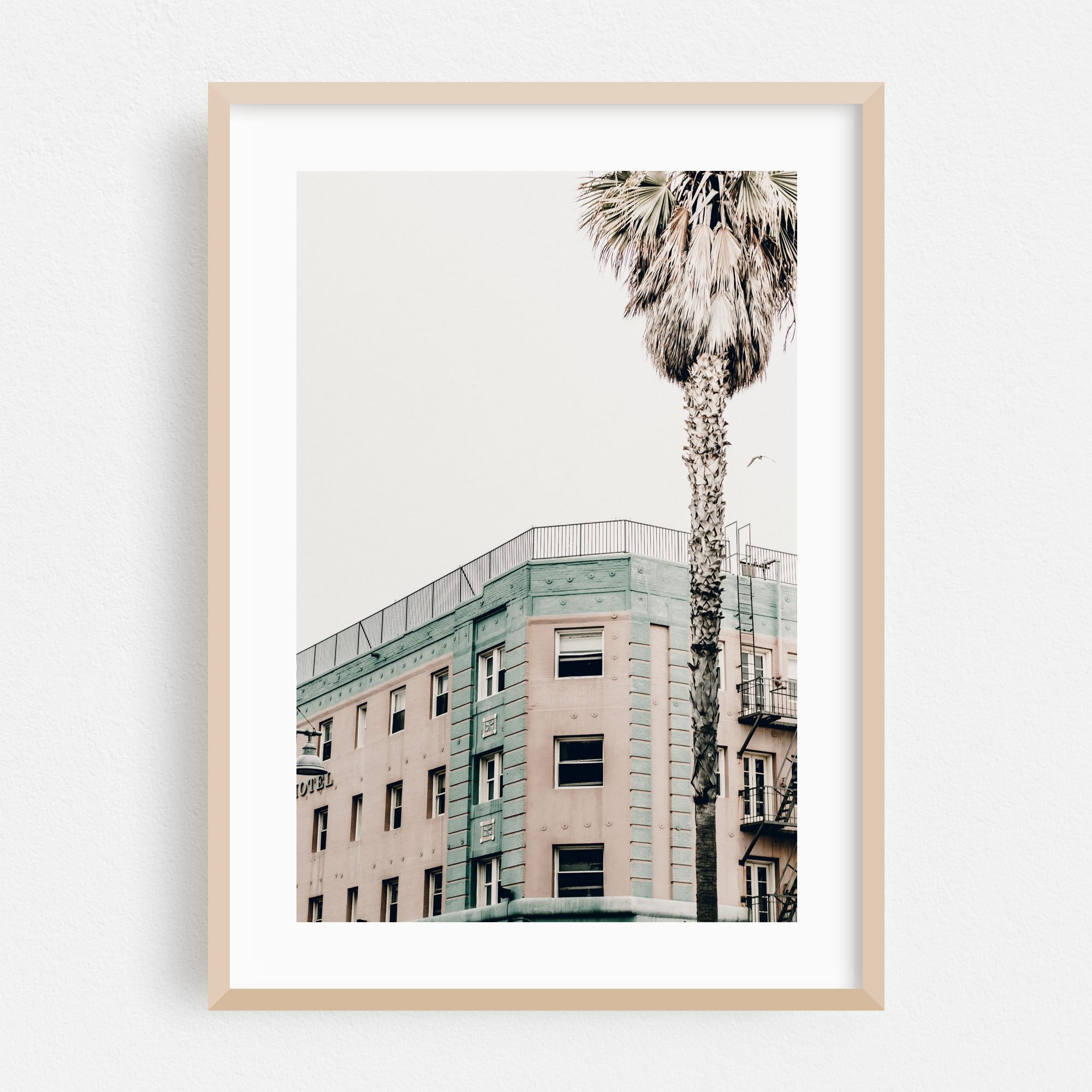Art Deco Venice - Los Angeles California Photography Palm Tree ...