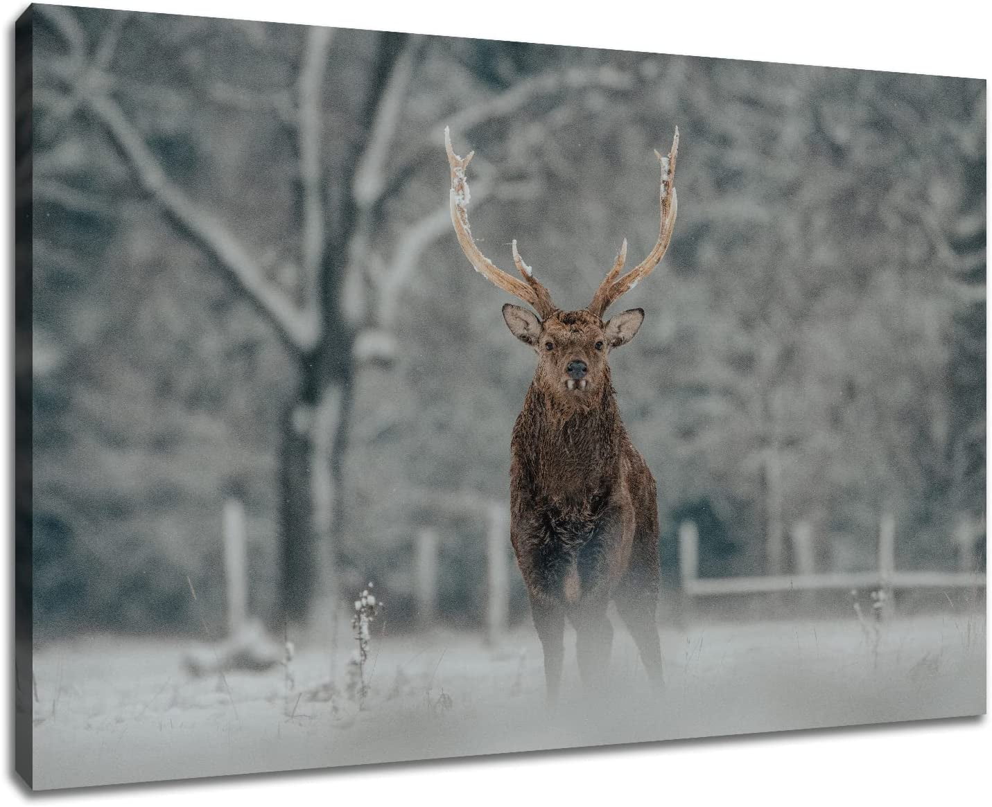 Art Decor Elk Stag Canvas Wall Art Paintingdeer in Winter Foggy Forest ...