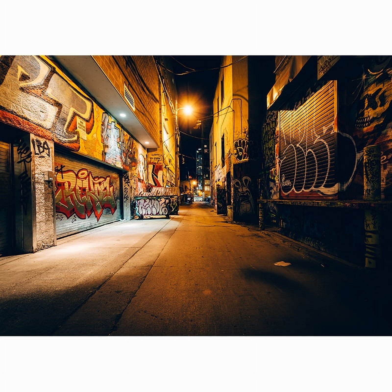 Art Fabric Custom Photography Backdrops Prop Brick Wall Graffiti Indoor ...