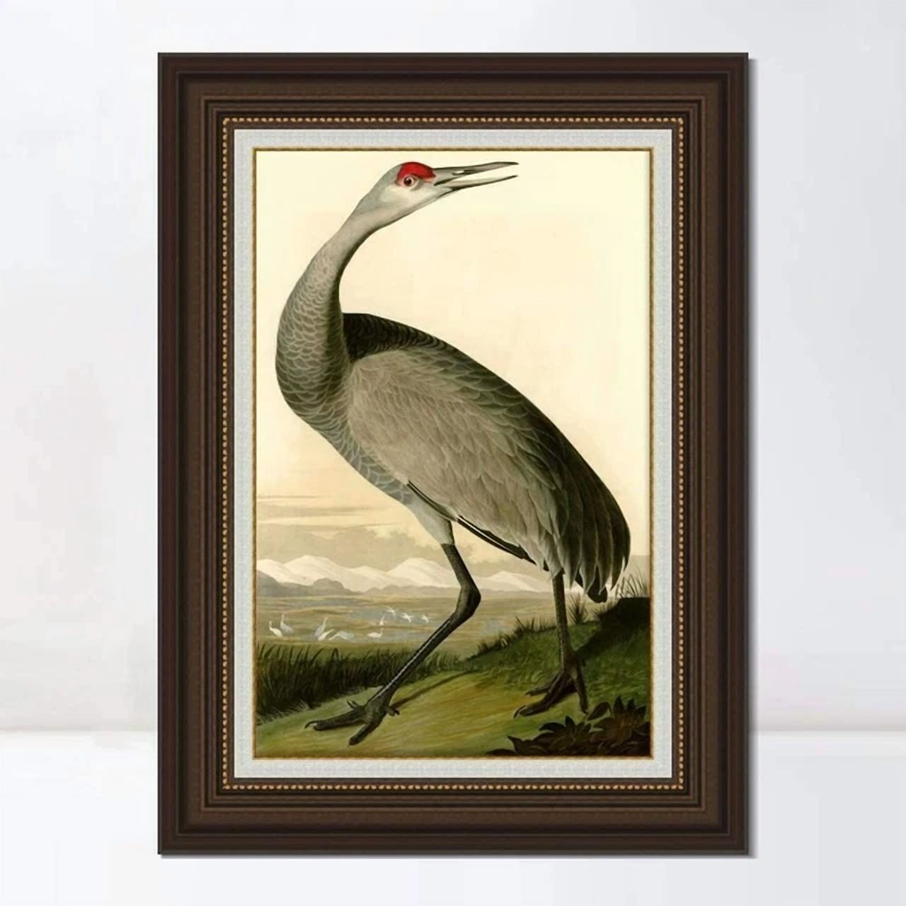 Art Giclee Print Hooping Cranen By John James Audubon Art Home Decor ...