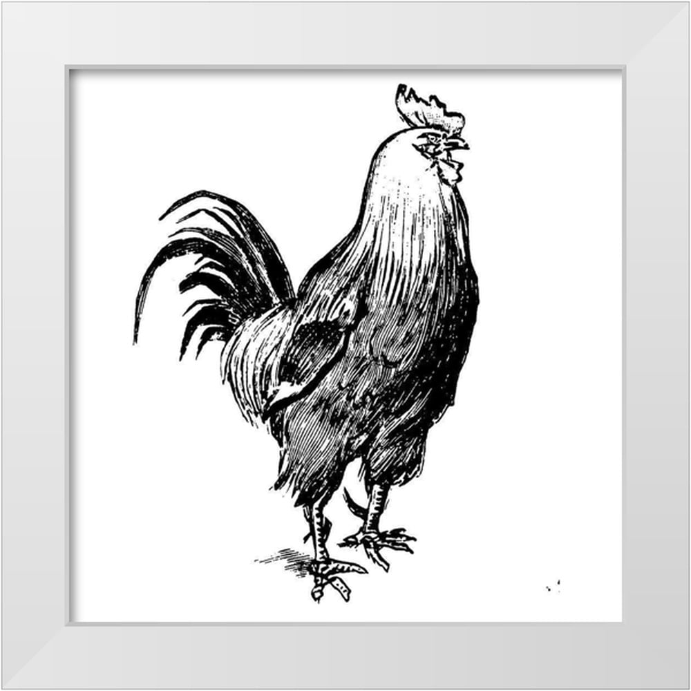 Art Licensing Studio 20x20 White Modern Wood Framed Museum Art Print ...