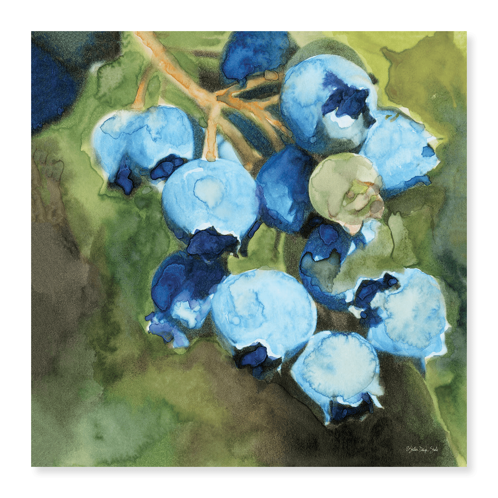 Art Print (Unframed), Blueberries 1 by Stellar Design Studio, 18" x 24 ...