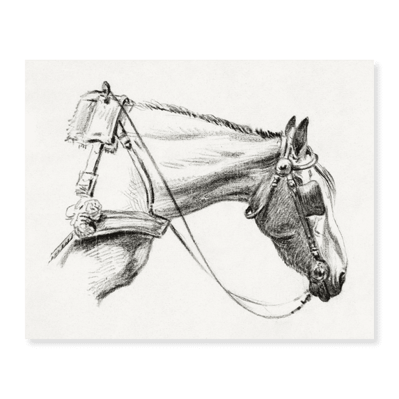 Art Print (Unframed), Head of a Horse III 1820 by Jean Bernard, 18" x ...