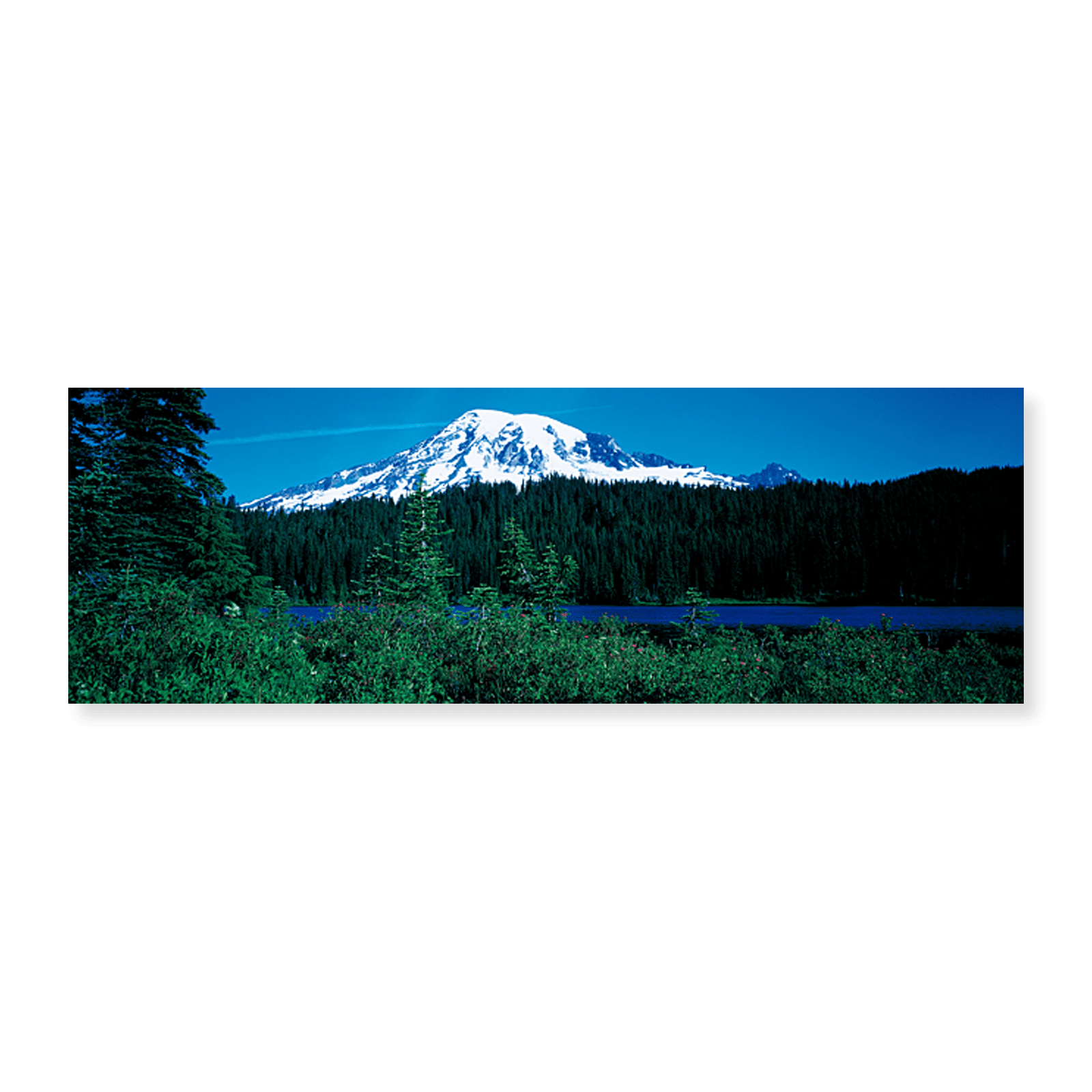 Art Print (Unframed), Mt Rainier Mt Rainier National Park WA USA by ...