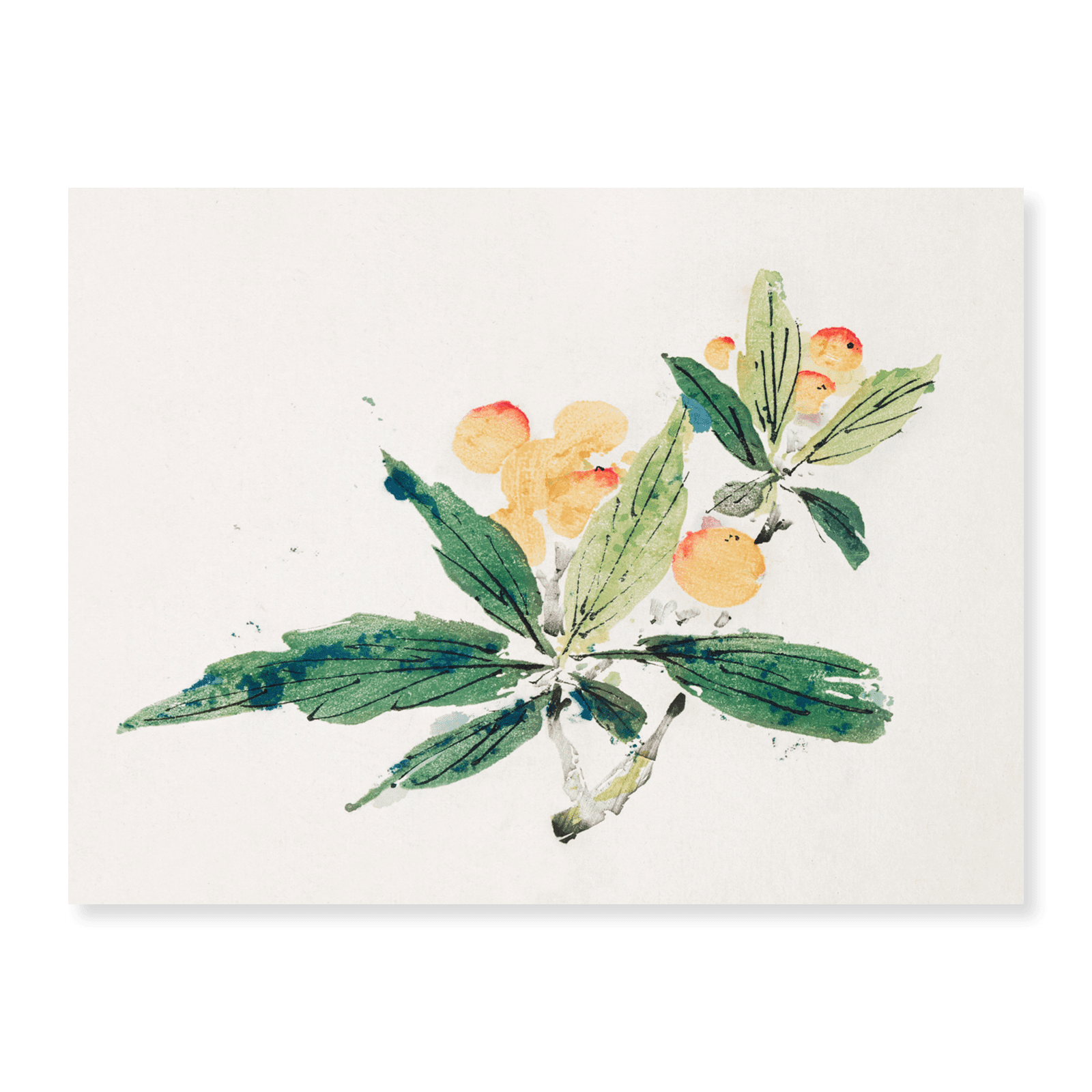 Art Print (Unframed), Page from Shi Zhu Zhai Gold and Red Fruit by Hu ...