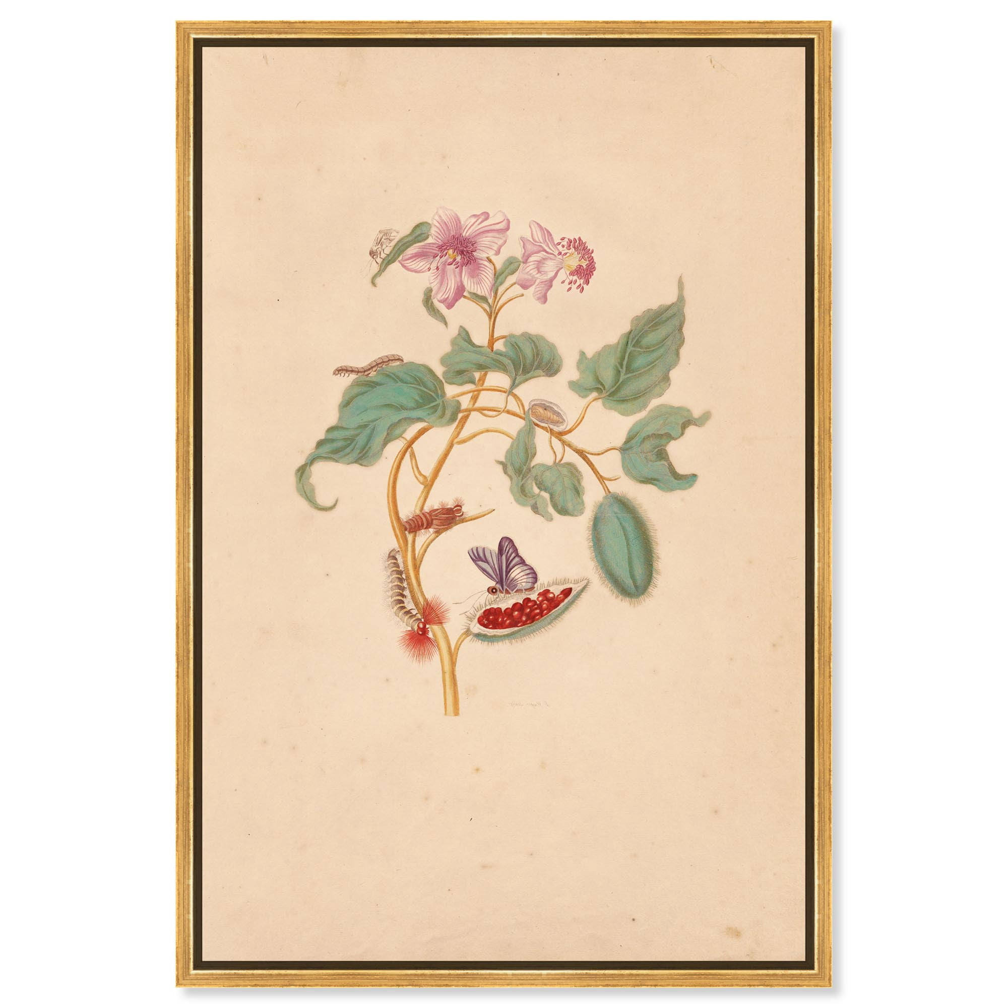 Art Remedy Botanical Prints Canvas, 20" x 30", Gold Frame, Rocu Tree ...