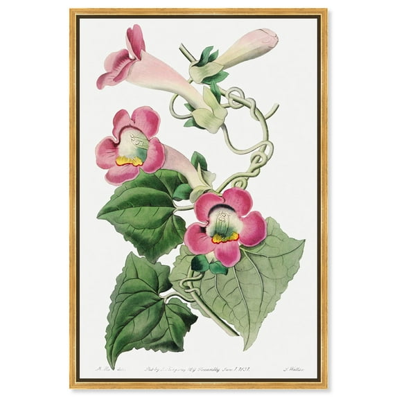 Art Remedy Botanical Prints Canvas, 24" x 36", Gold Frame, Blushing ...