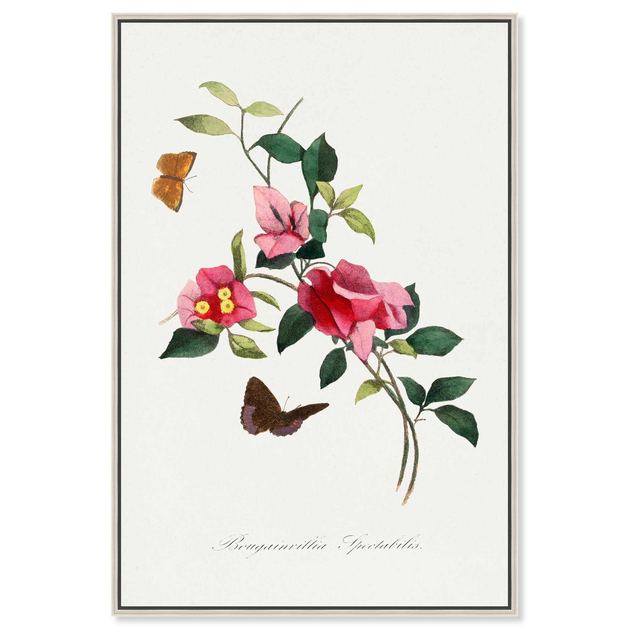Art Remedy Botanical Prints Canvas, 24" x 36", Silver Frame ...