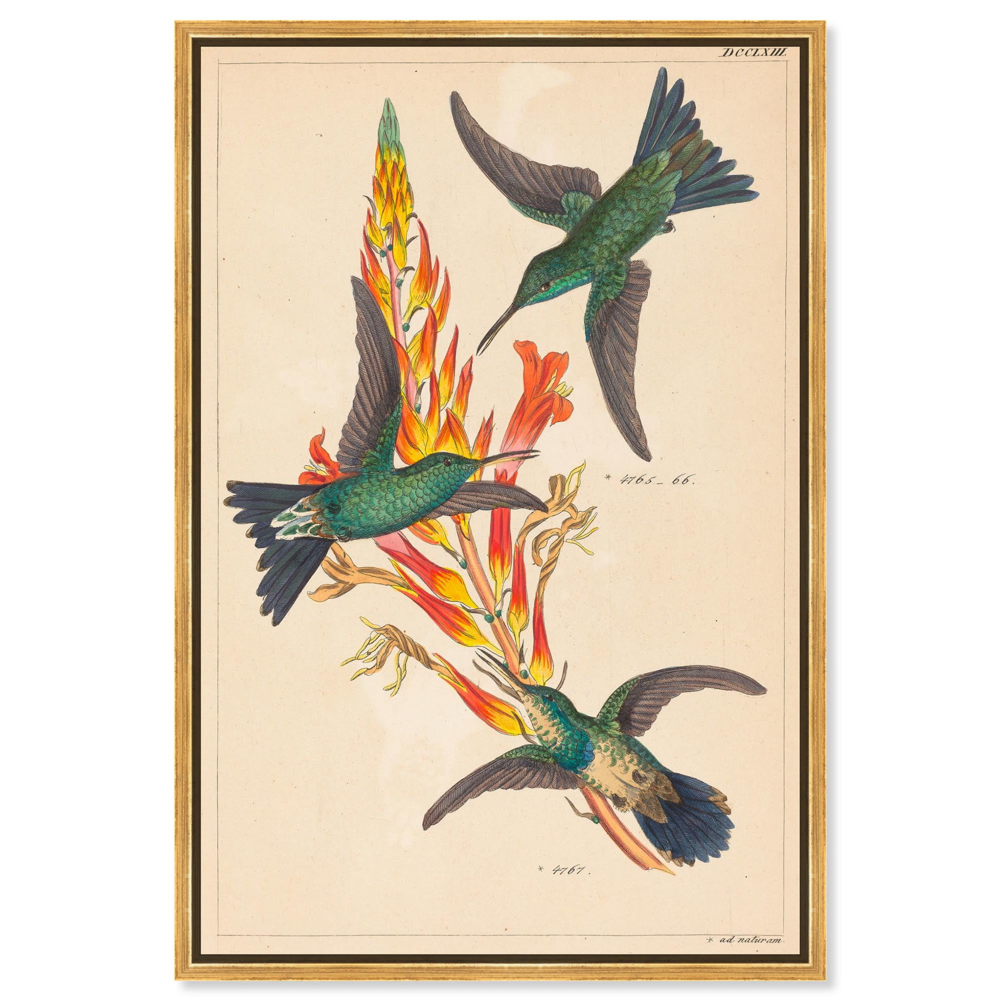 Art Remedy Botanical Prints Canvas, 30" x 45", Gold Frame, Three ...