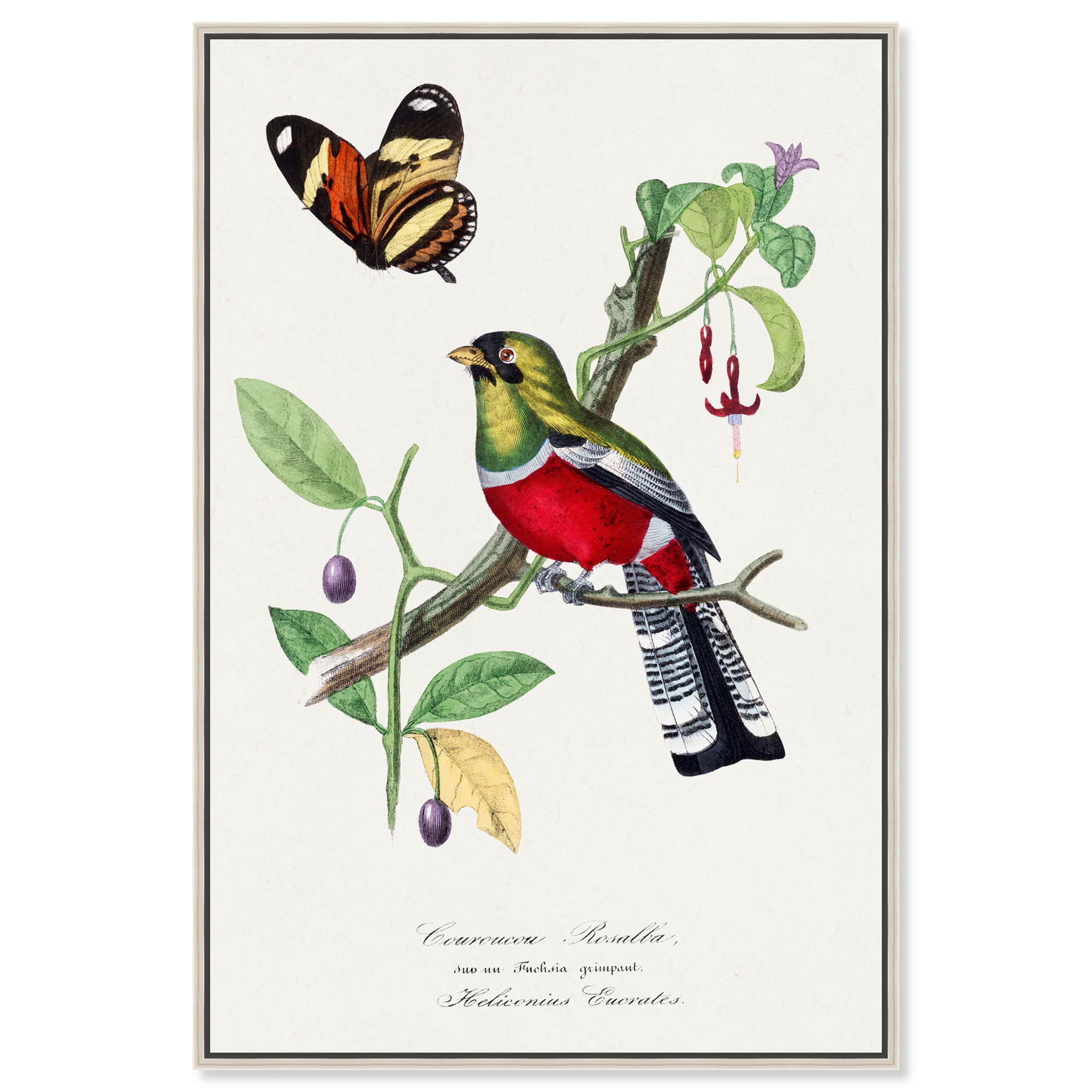 Art Remedy Botanical Prints Canvas, 30" x 45", Silver Frame, Crimson ...