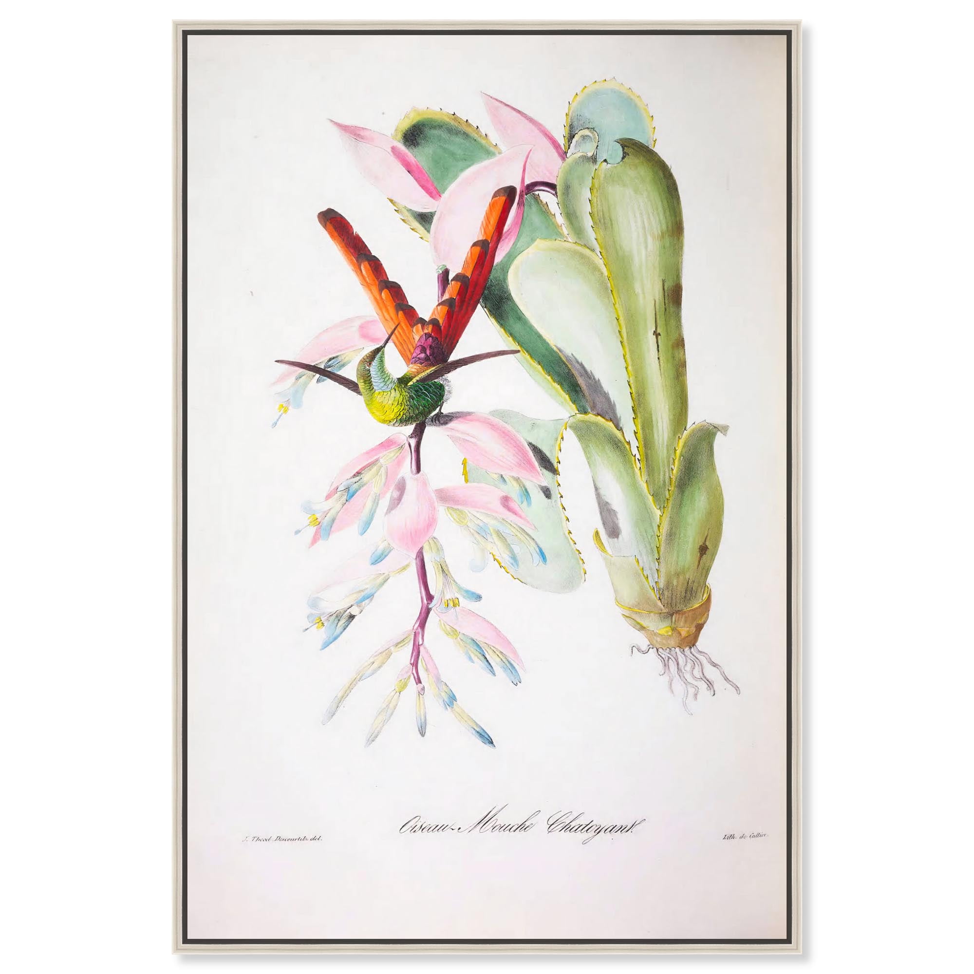 Art Remedy Botanical Prints Canvas, 30" x 45", Silver Frame, Sunbird ...