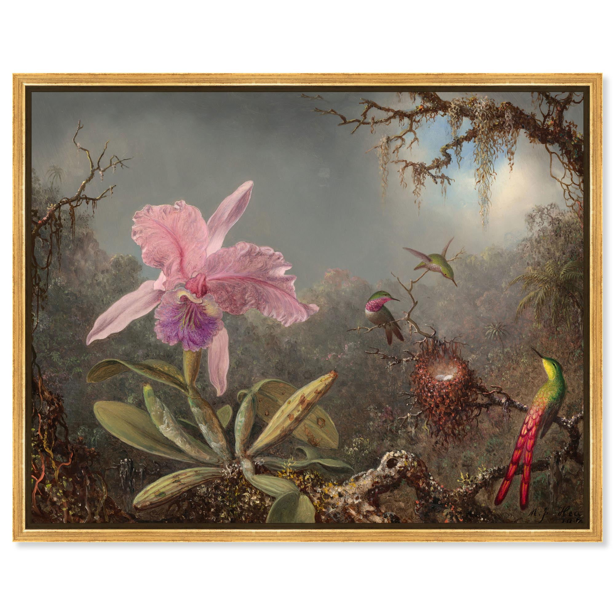 Art Remedy Classic Florals Canvas, 36" x 30", Gold Frame, Heade Orchid ...