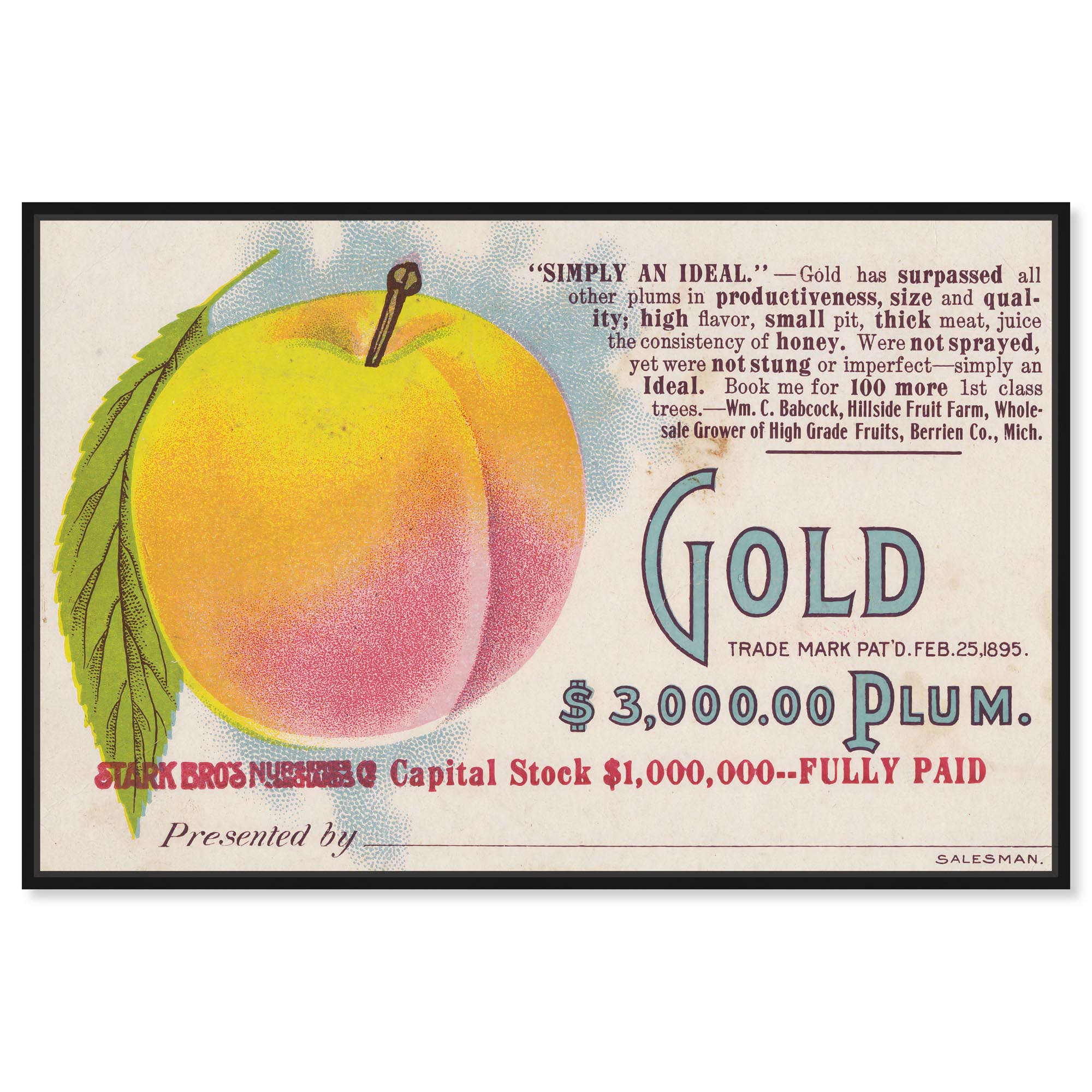 Art Remedy Retro Posters Canvas, 36" x 24", Black Frame, Gold Plum ...