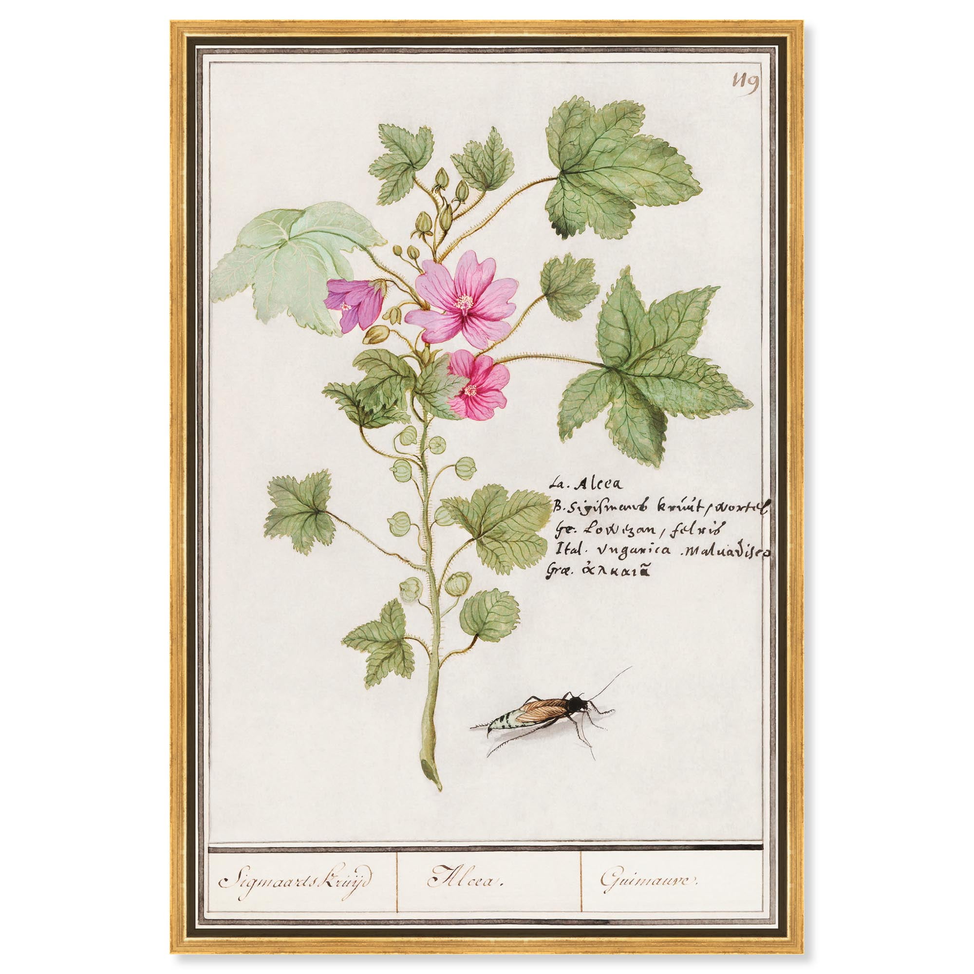 Art Remedy Vintage Posters Canvas, 24" x 36", Gold Frame, Malva ...