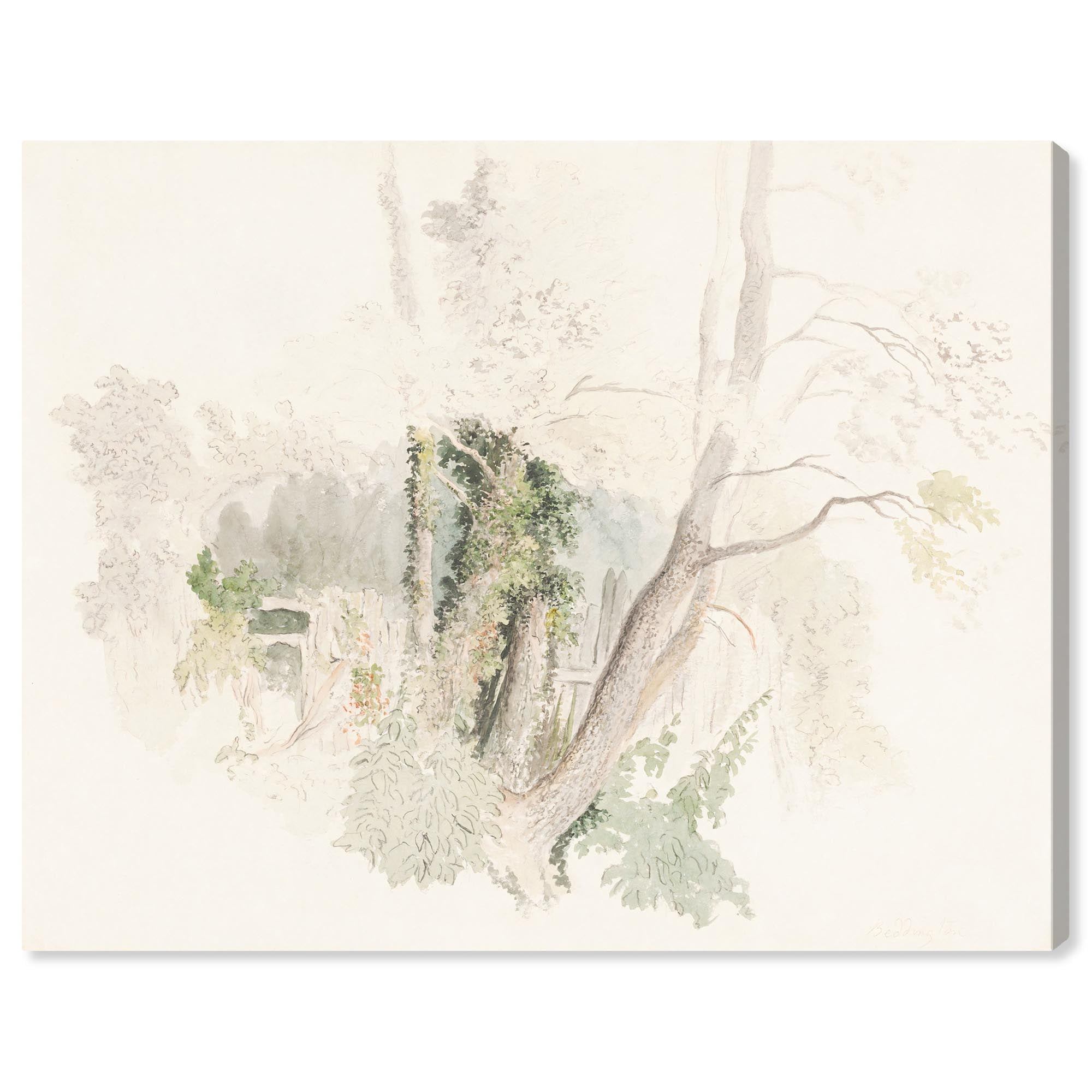Art Remedy Vintage Sketches Canvas, 45" x 36", Gallery Wrapped, Trees ...