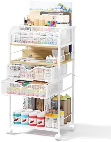 Art cart, 5 Tier Rolling Cart - Utility Cart with Storage Drawer and ...