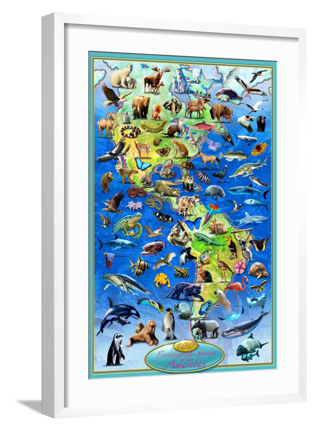 Art.com 100 Endangered Species Art Print by Adrian Chesterman, White ...