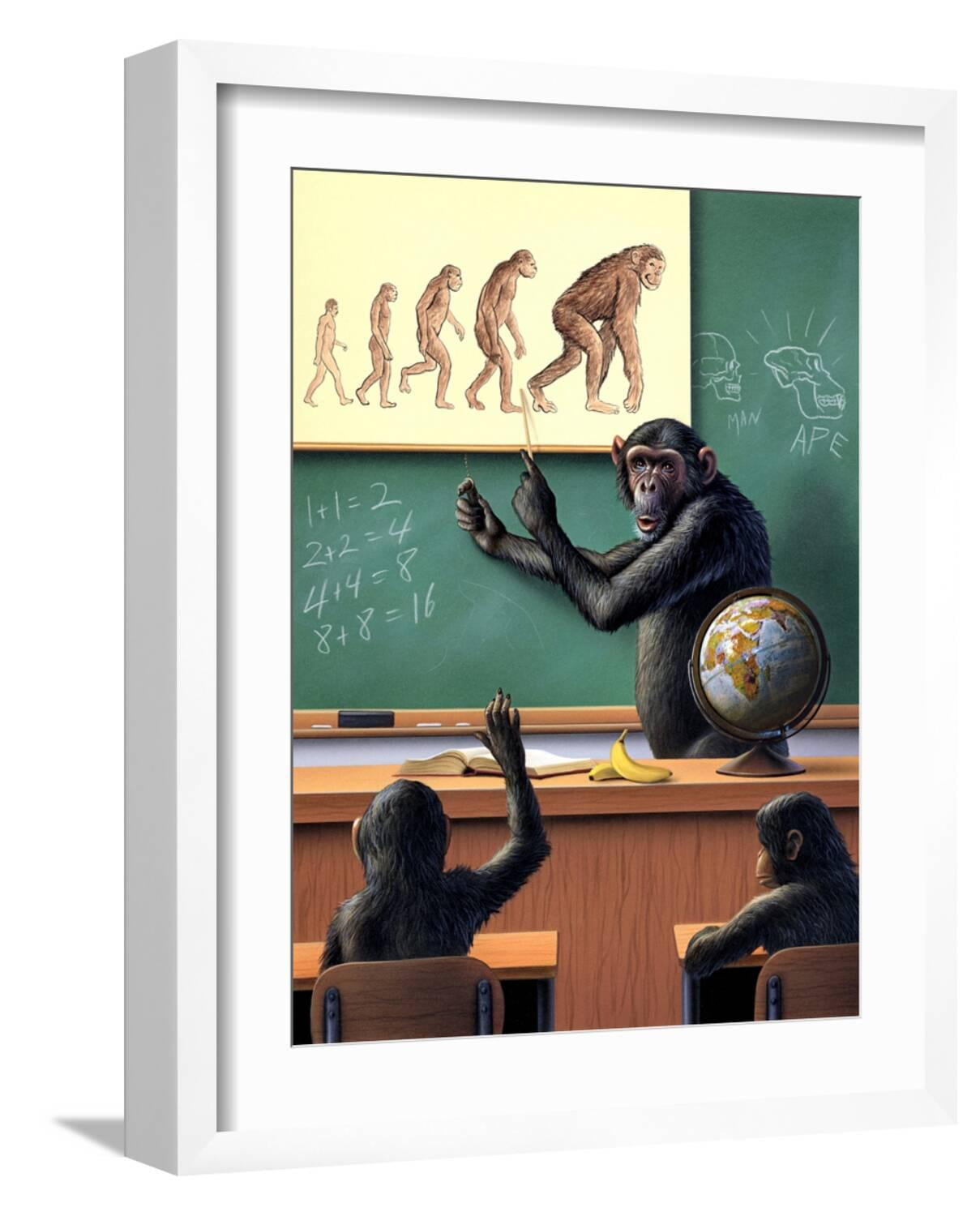 Art.com A Humorous View of the Reverse Evolution of Man Art Print ...