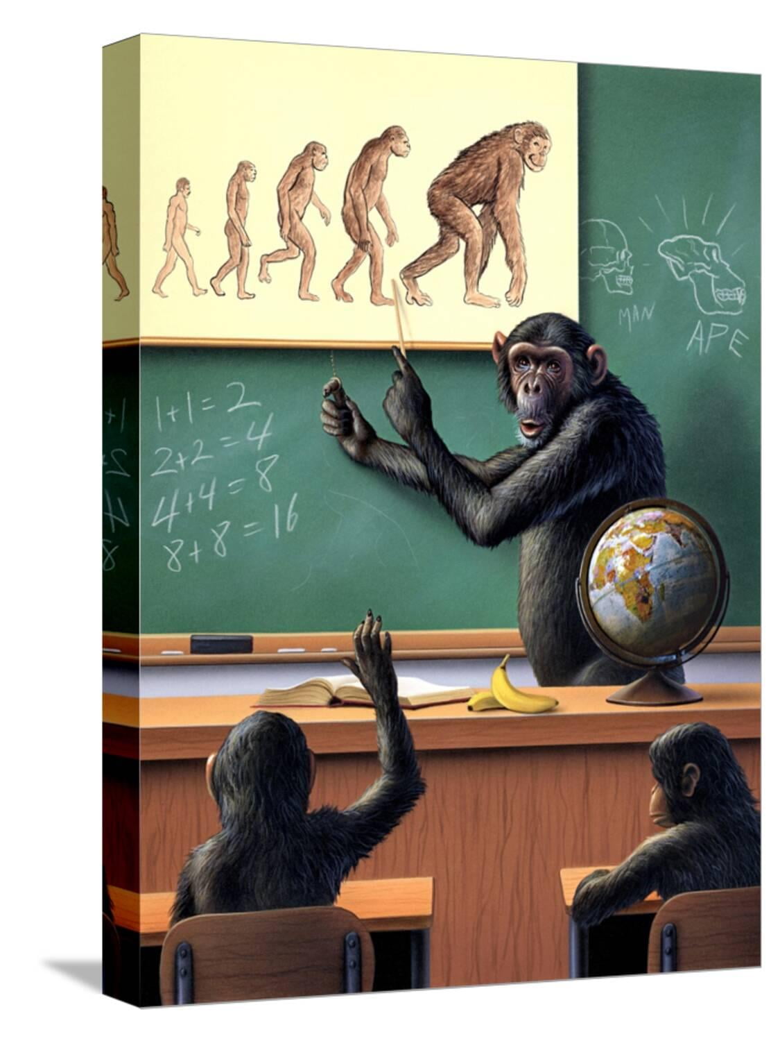Art.com A Humorous View of the Reverse Evolution of Man Stretched ...
