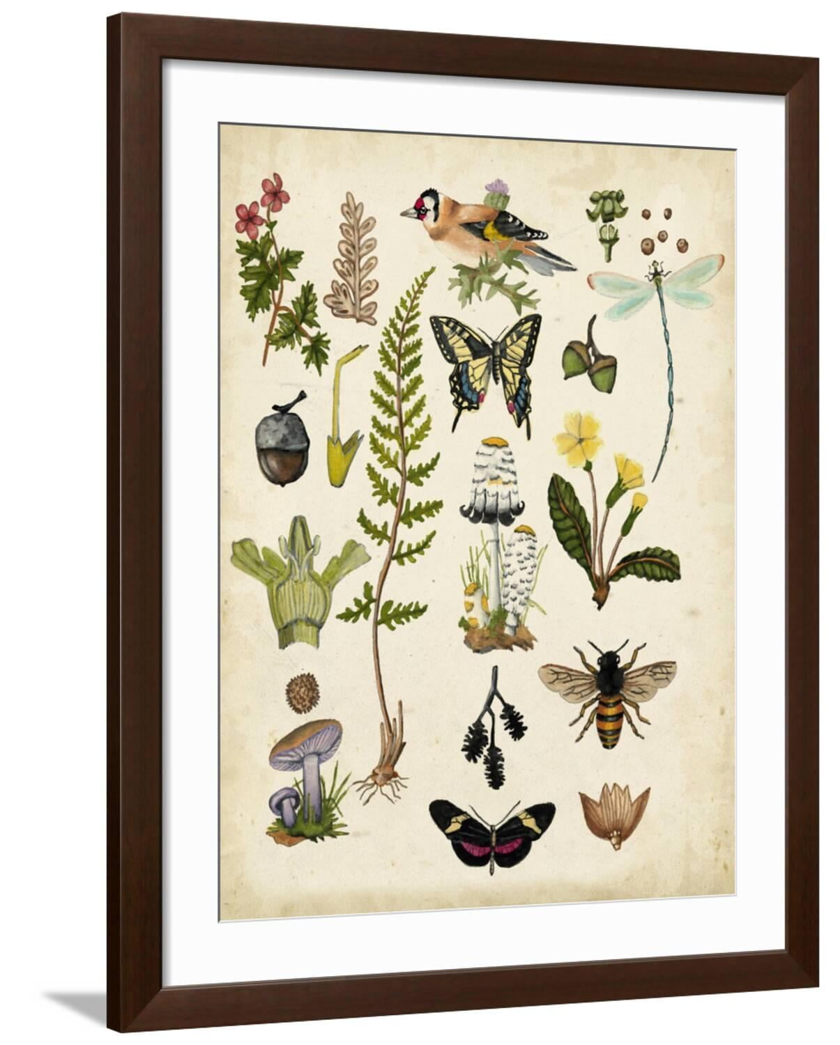 Art.com A Walk in the Forest I Art Print by Naomi McCavitt, Brown Frame ...