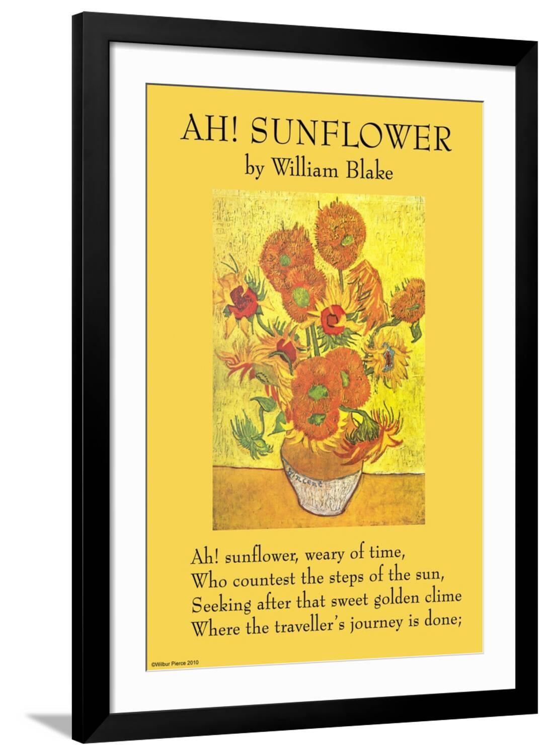 Art.com Ah! Sunflower Art Print by William Blake, Black Frame Wall Art ...
