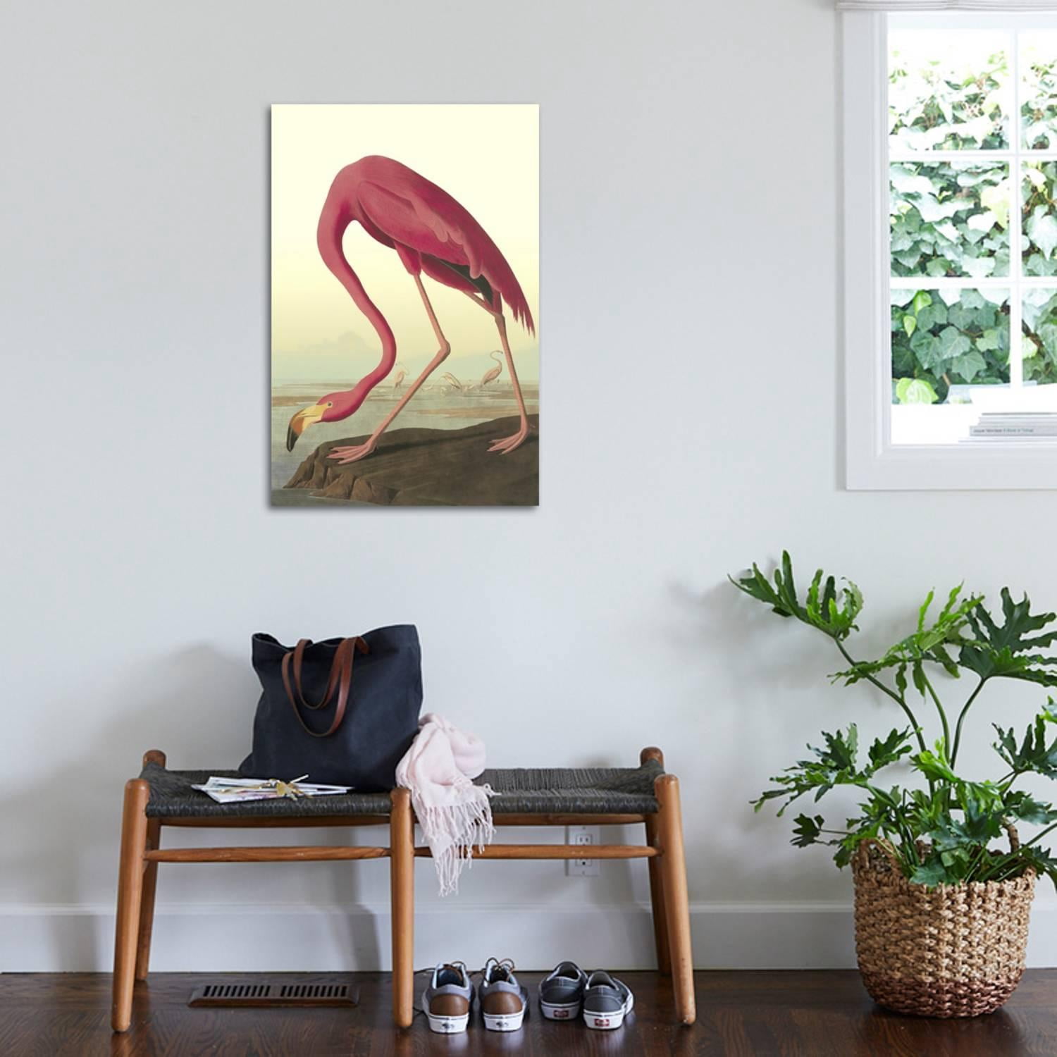 Art.com American Flamingo Art Print by John James Audubon, 24" x 36 ...