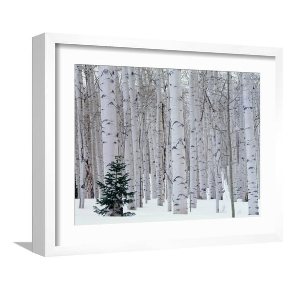 Vesco Lake District Wall Art Print Cumbria England Office Wall Ar ...