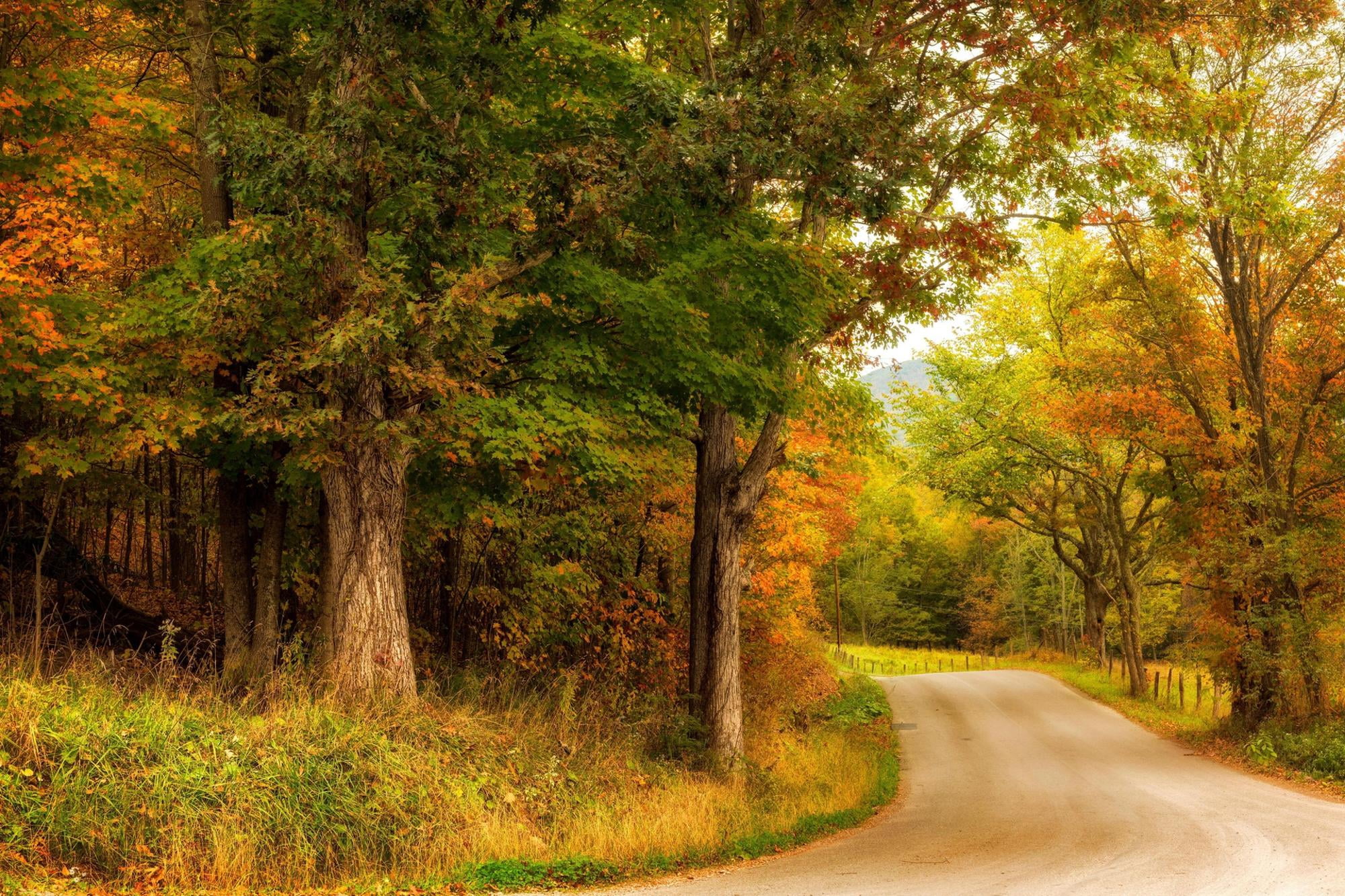 Art.com Autumn's First Day Art Print by Andy Amos, 36" x 24" - Walmart.com