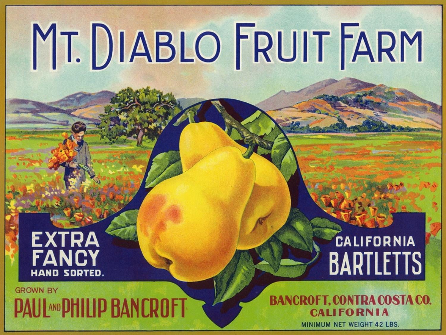 Art.com Bancroft, California, Mt. Diablo Fruit Farm Brand Pear Label ...