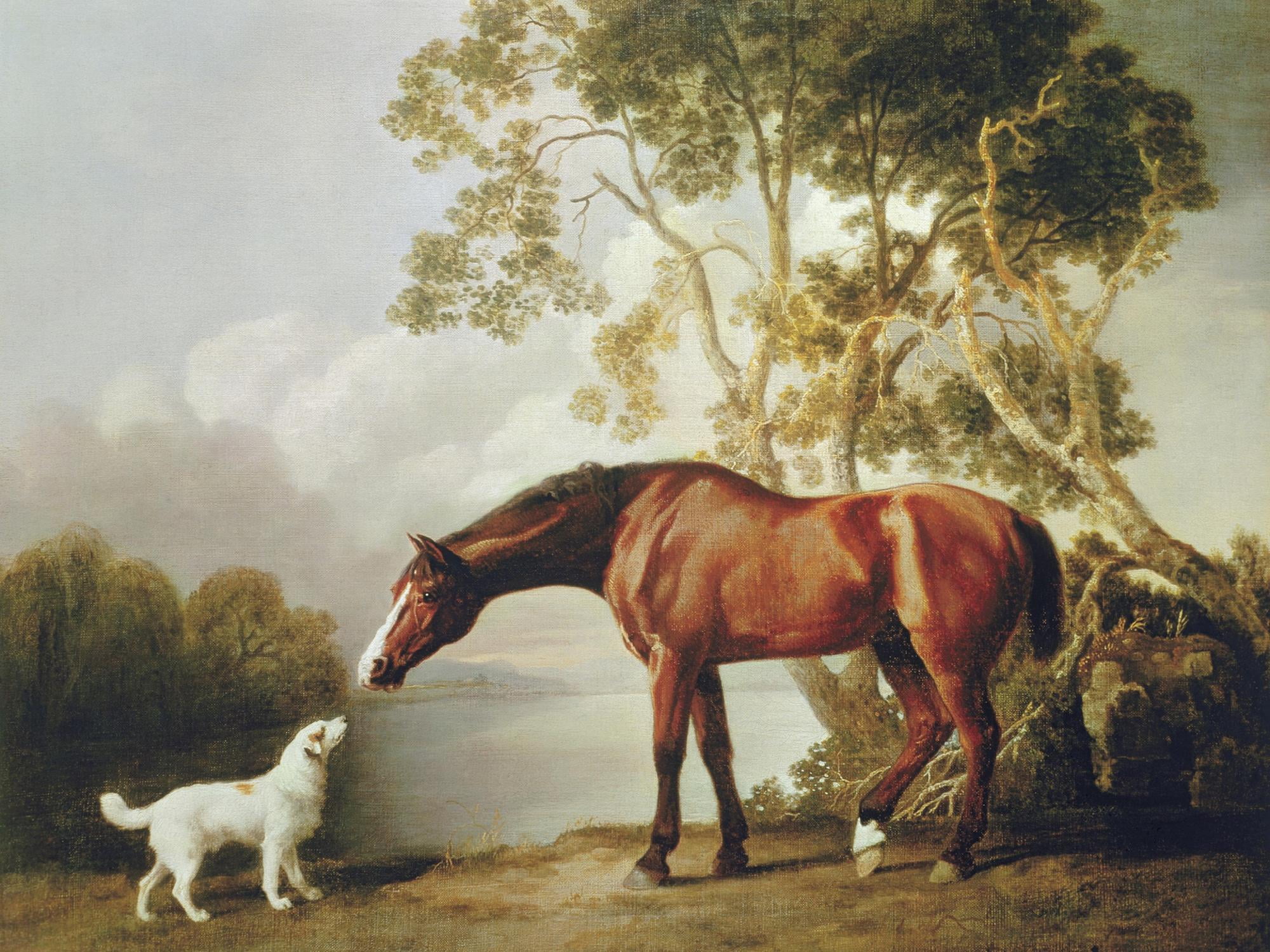 Art.com Bay Horse and White Dog Art Print by George Stubbs, 32" x 24 ...