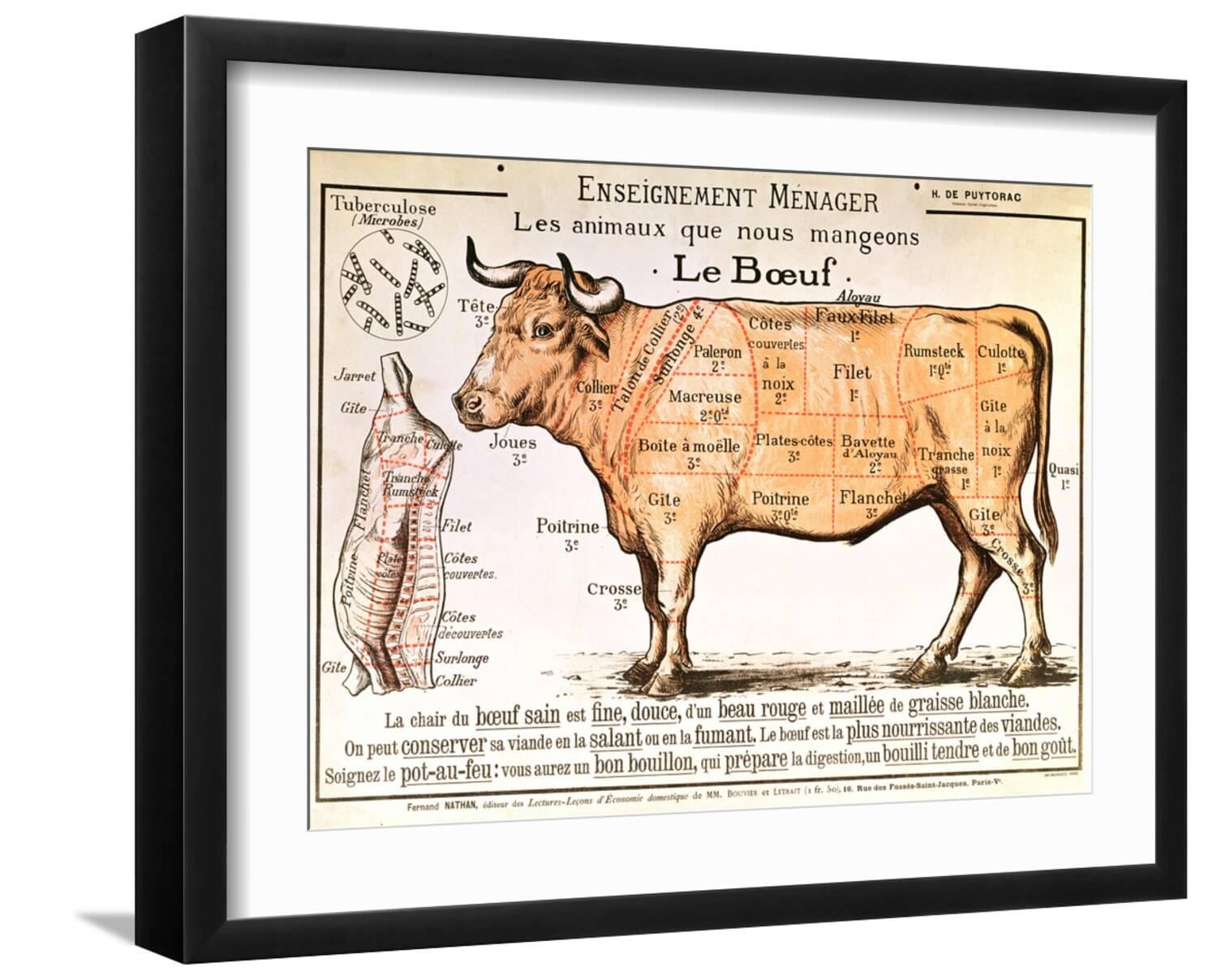 Art.com Beef: Diagram Depicting the Different Cuts of Meat Giclee Print ...