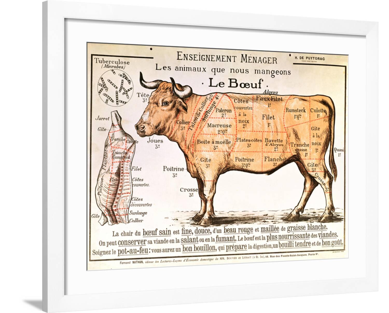 Art.com Beef: Diagram Depicting the Different Cuts of Meat Giclee Print ...
