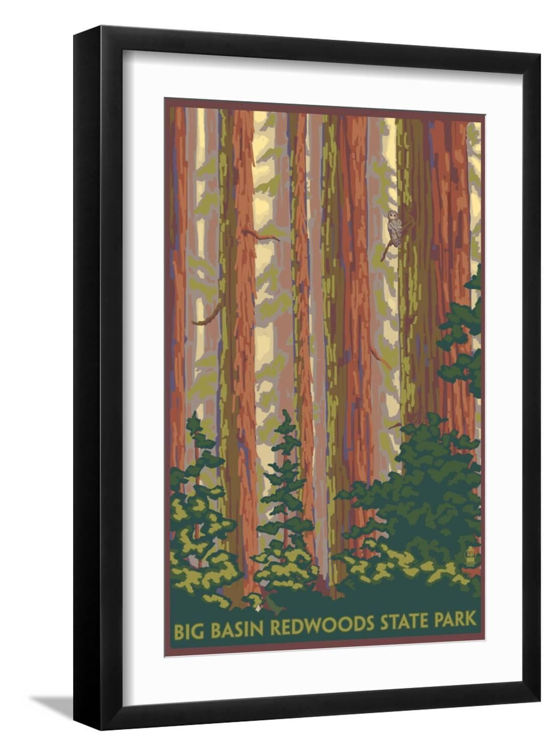 Art.com Big Basin Redwoods State Park - Forest View Art Print by ...