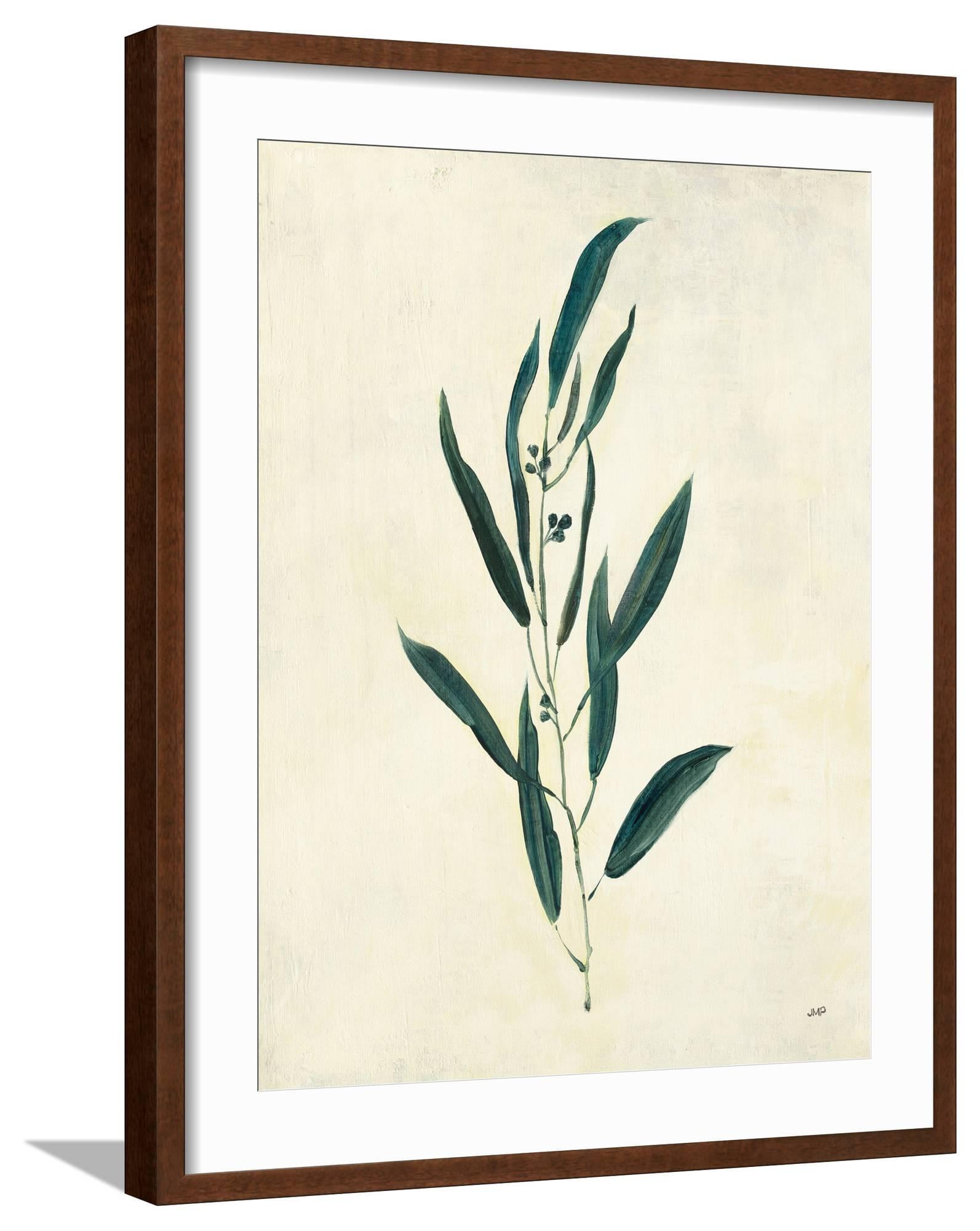 Art.com Botanical Study V Art Print by Julia Purinton, Brown Frame Wall ...