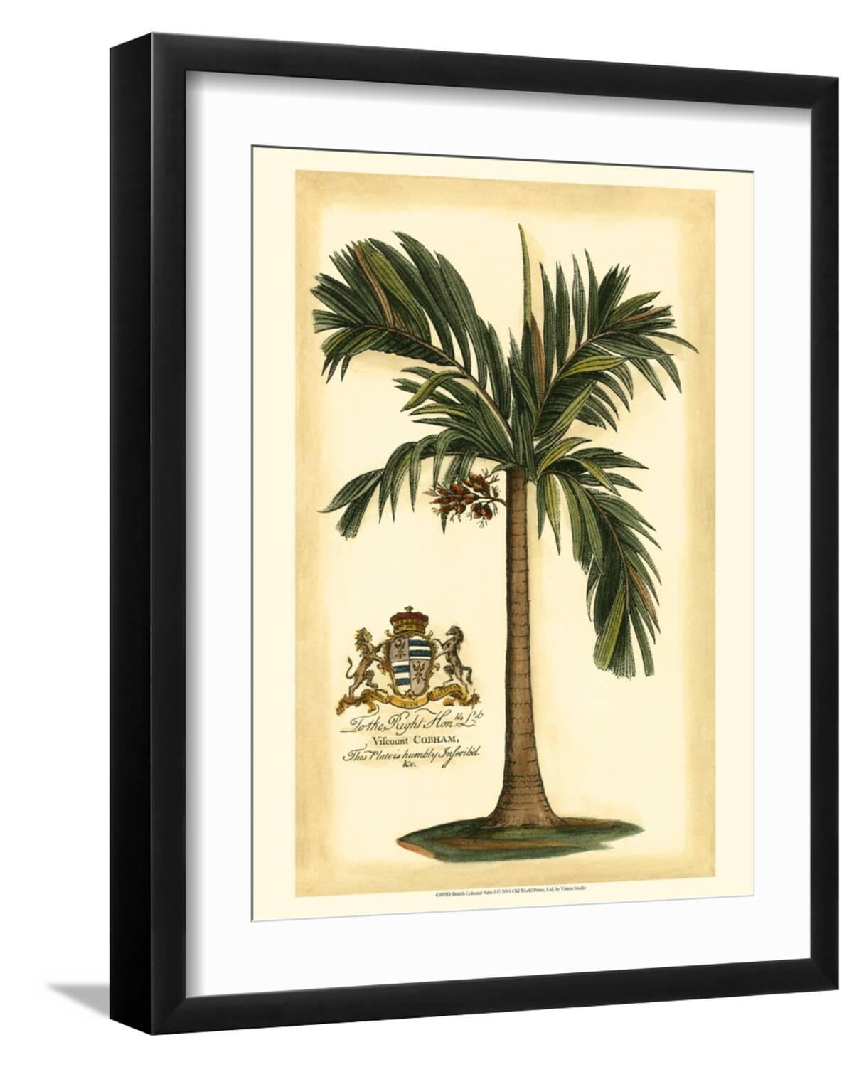 Art.com British Colonial Palm I Art Print, Black Frame Wall Art, 17" x ...