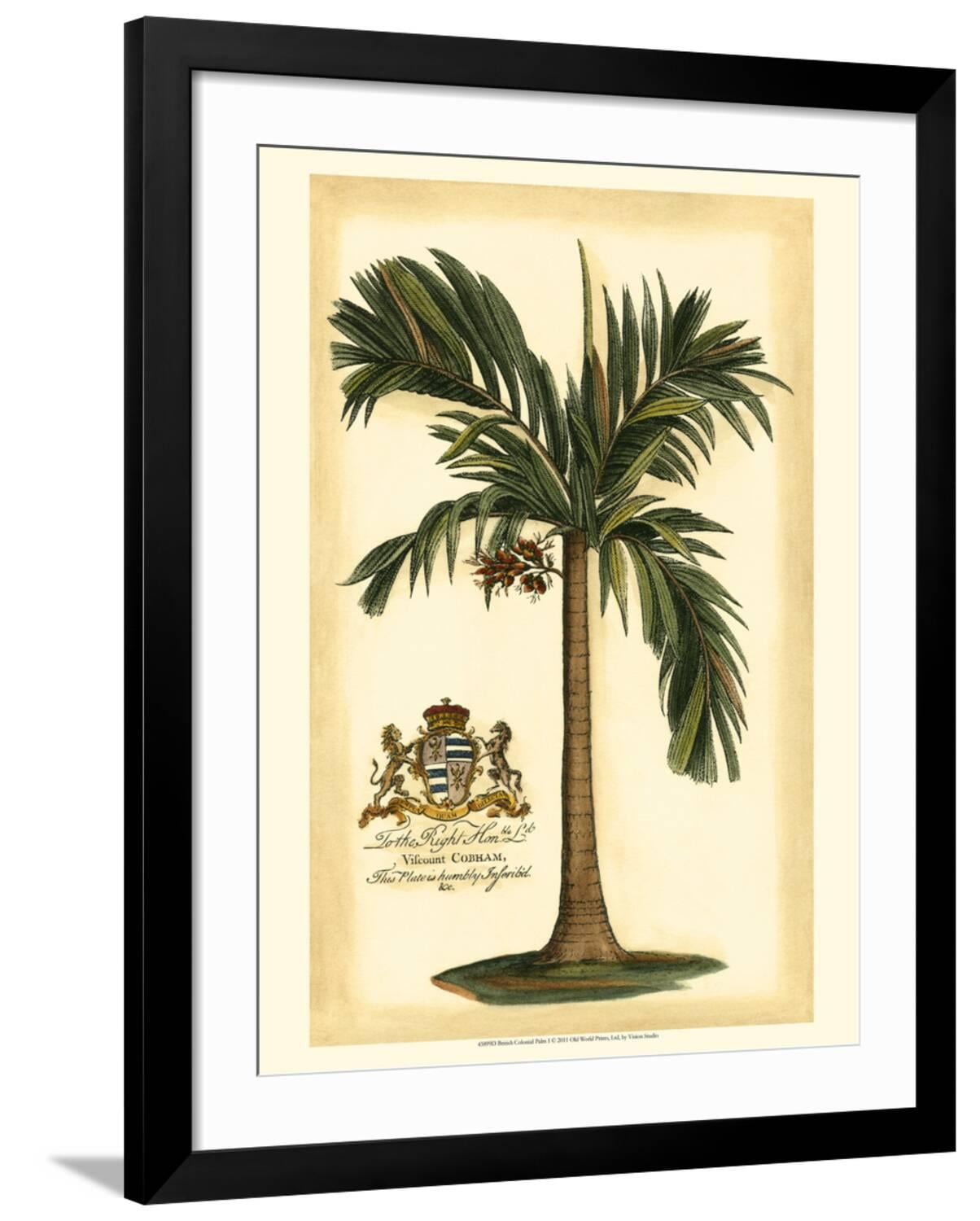 Art.com British Colonial Palm I Art Print, Black Frame Wall Art, 32" x ...