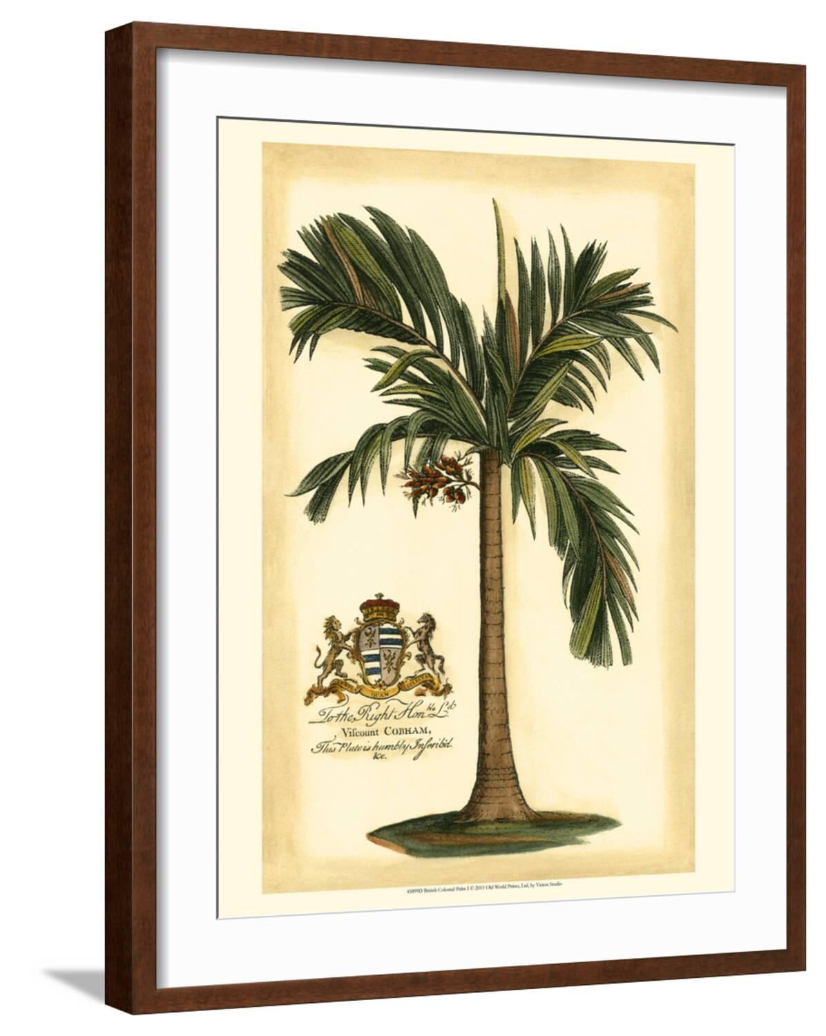 Art.com British Colonial Palm I Art Print, Brown Frame Wall Art, 23" x ...