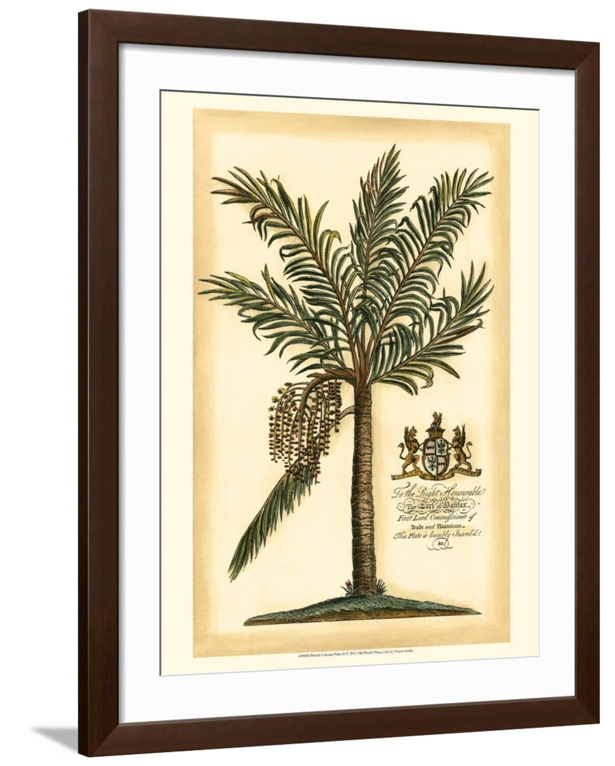 Art.com British Colonial Palm II Art Print, Brown Frame Wall Art, 32" x ...