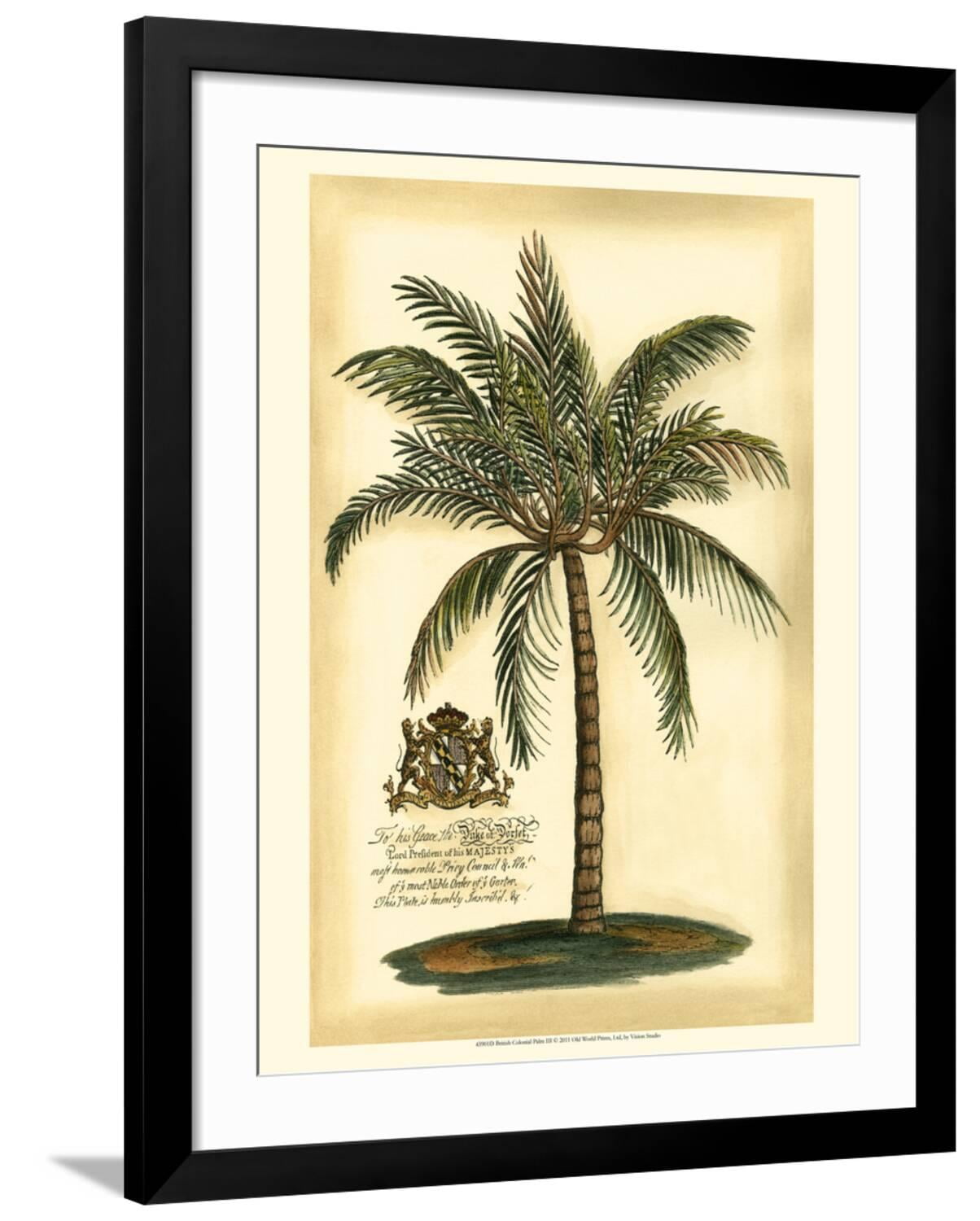 Art.com British Colonial Palm III Art Print, Black Frame Wall Art, 32 ...