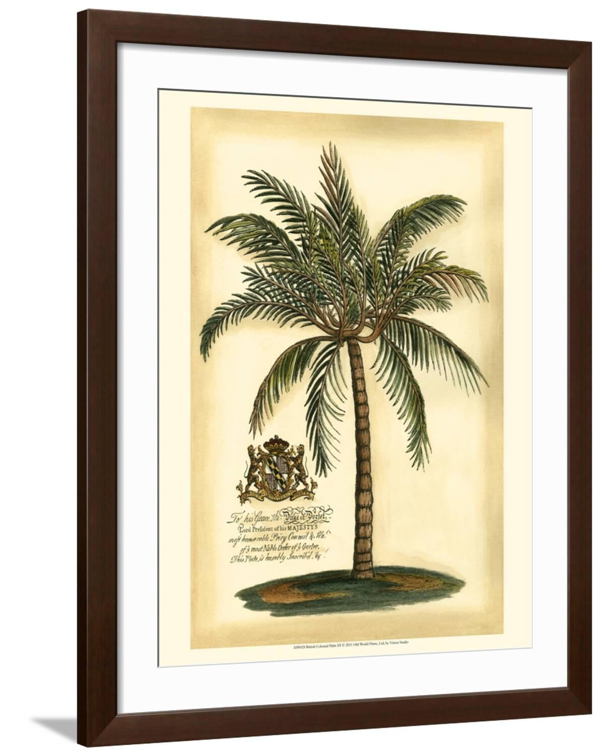Art.com British Colonial Palm III Art Print, Brown Frame Wall Art, 32 ...