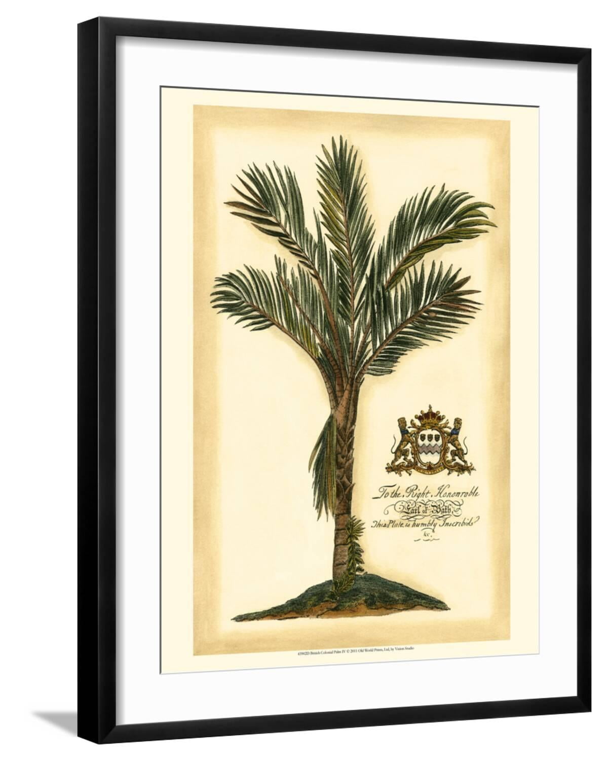Art.com British Colonial Palm IV Art Print, Black Frame Wall Art, 23" x ...