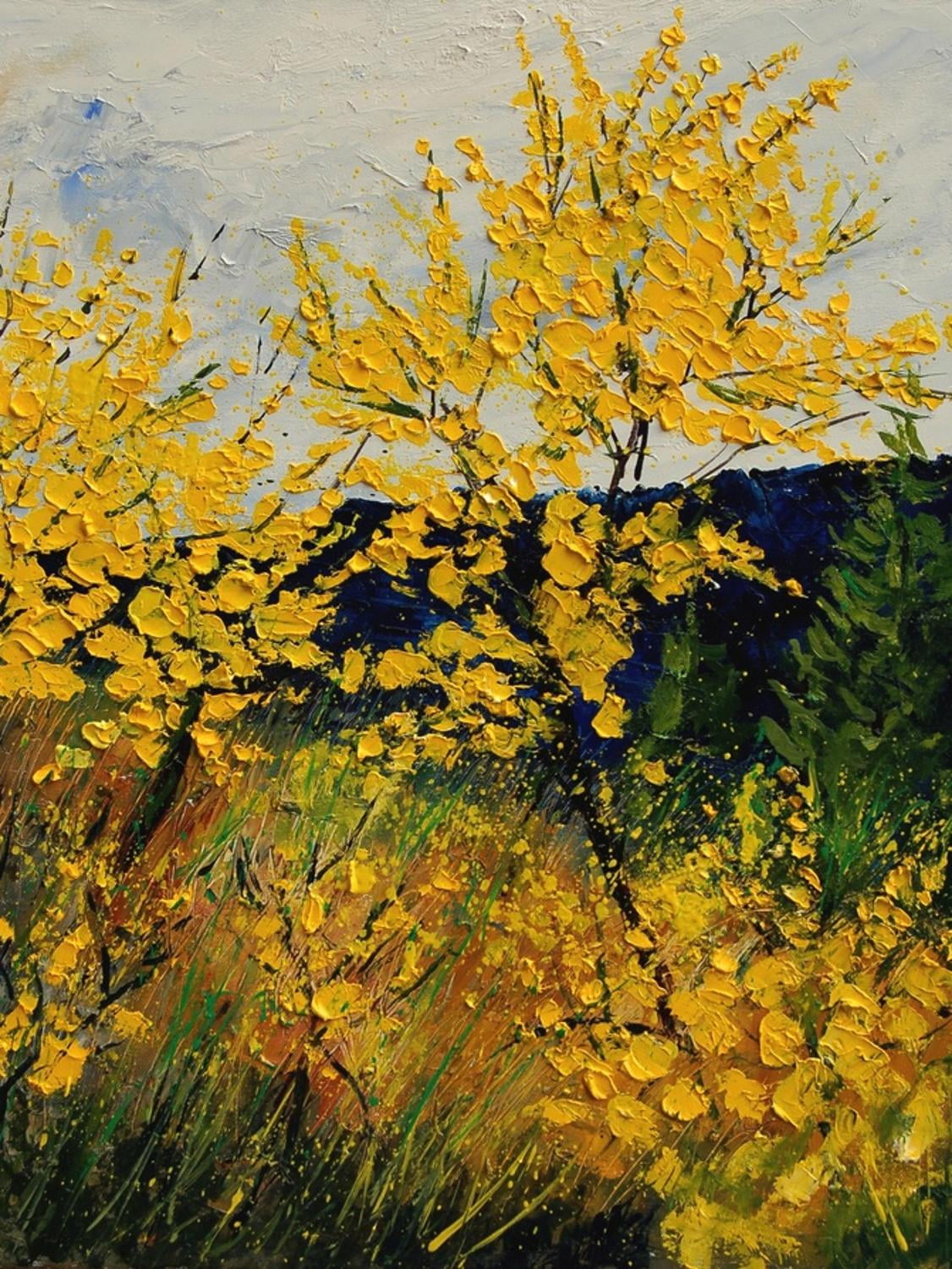 Art.com Brooms Shrubs Art Print by Pol Ledent, 12" x 16" - Walmart.com