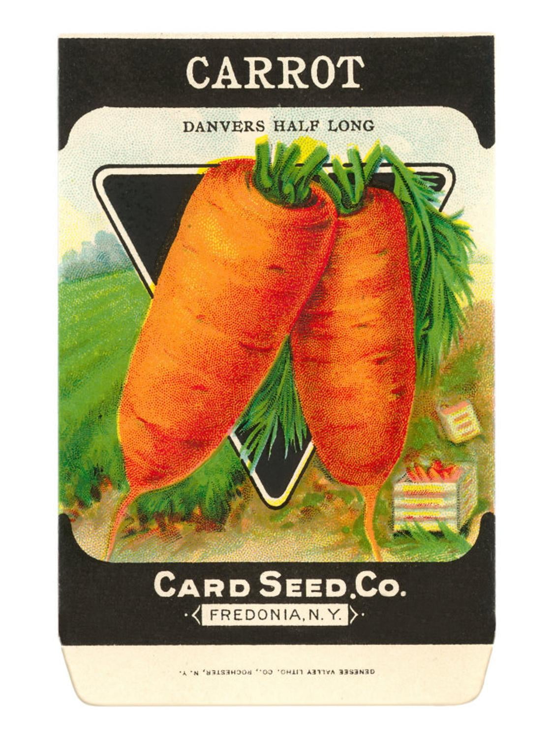 Art.com Carrot Seed Packet Art Print, 12" x 16" - Walmart.com