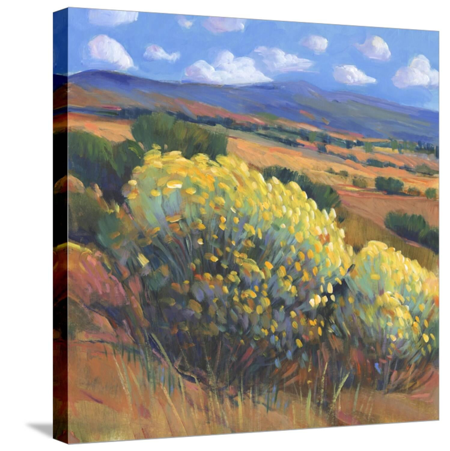 Art.com Chamisa I Stretched Canvas Print Wall Art by Tim OToole, 24" x ...